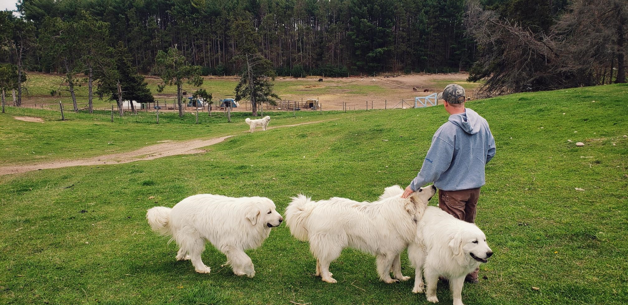 GTPulse: Young, First-Generation Farmer Thrives Throughout The Pandemic ...