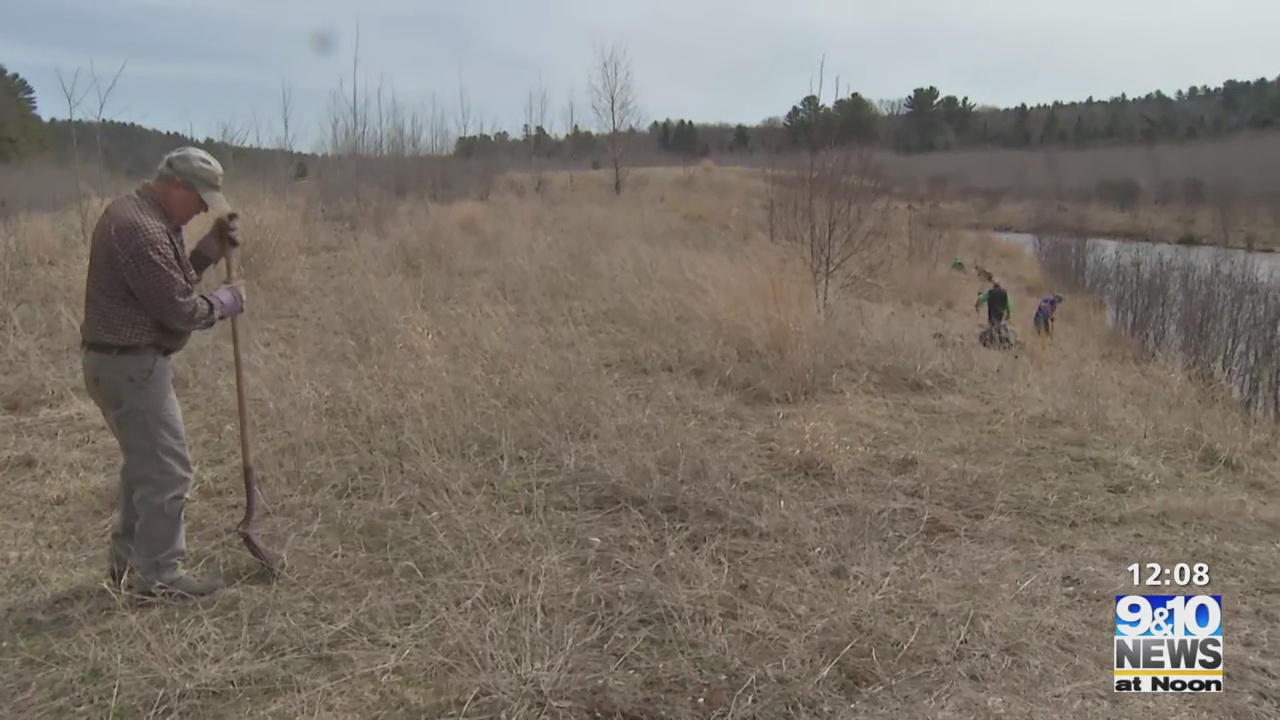 Celebrating Earth Day by Planting Native Tree Seedlings – 910News.com
