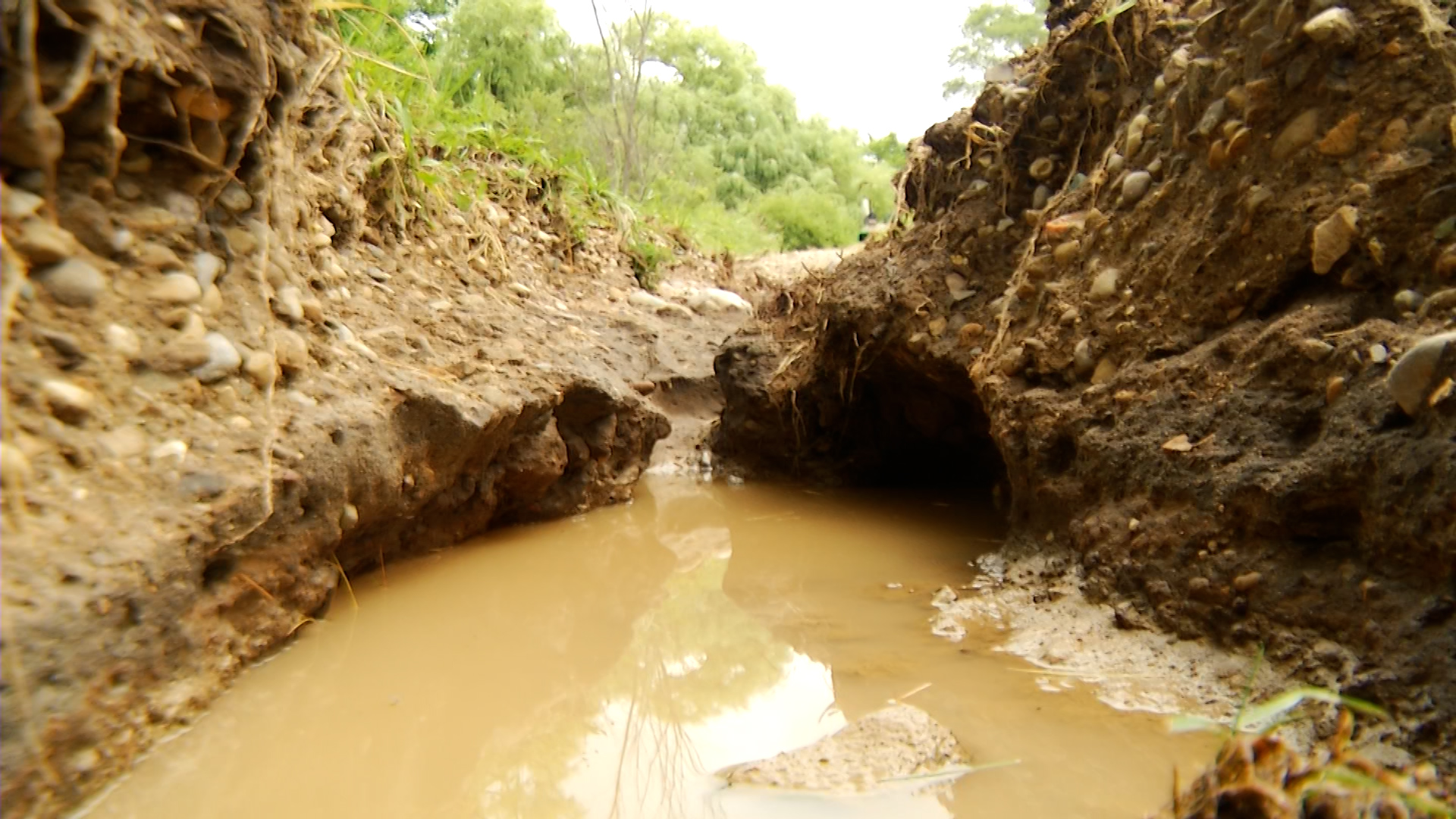 Acme Township Resident “Trapped” in his House, Blames Bad Culvert – 9 ...
