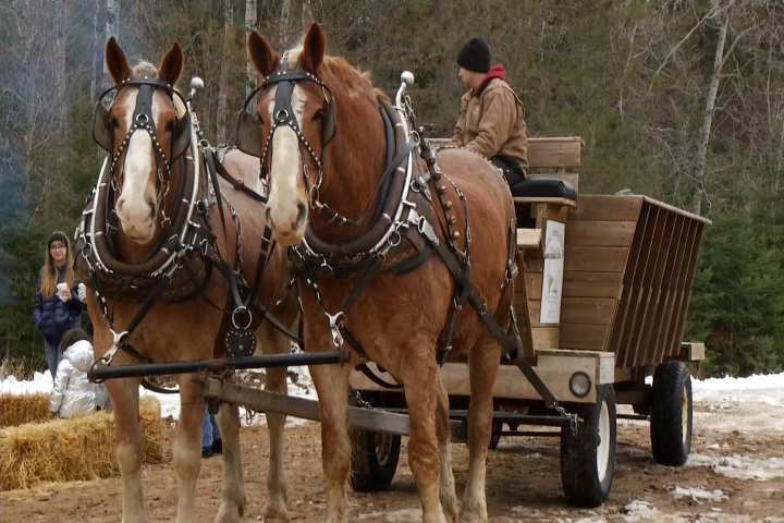 Treetops Thursday: Sleigh Rides – 9&10 News