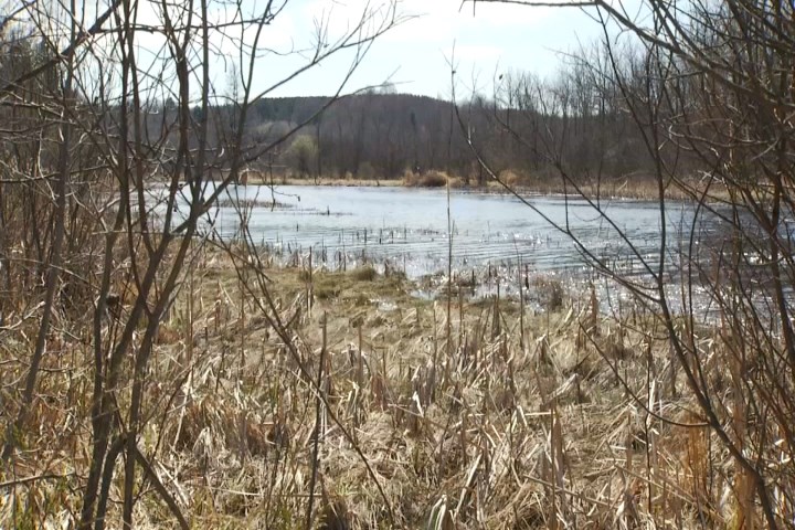 Sights and Sounds: Benway Lake, Wilson Lake View – 9&10 News