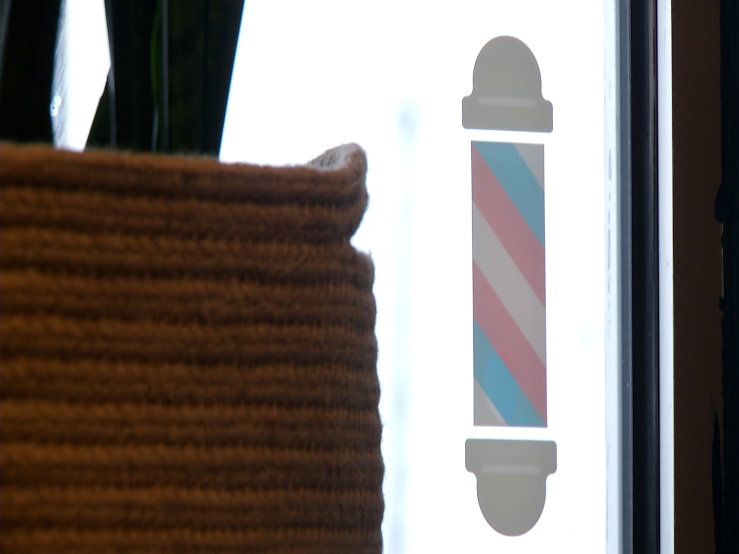 Creating Inclusivity: Salons and Barbershops Join ‘Strands for Trans ...