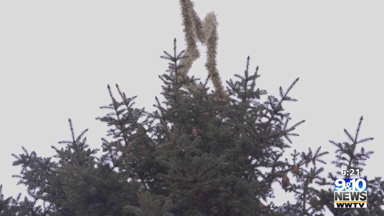 Traverse City Sets Up Christmas Tree Downtown – 9&10 News