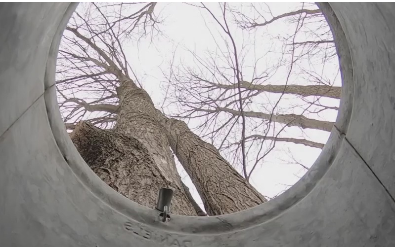 Antrim County Maple Farm Preps for Syrup Season – 910News.com