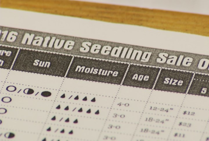 Northern Michigan Conservation Districts Sell Native Plants to Local ...