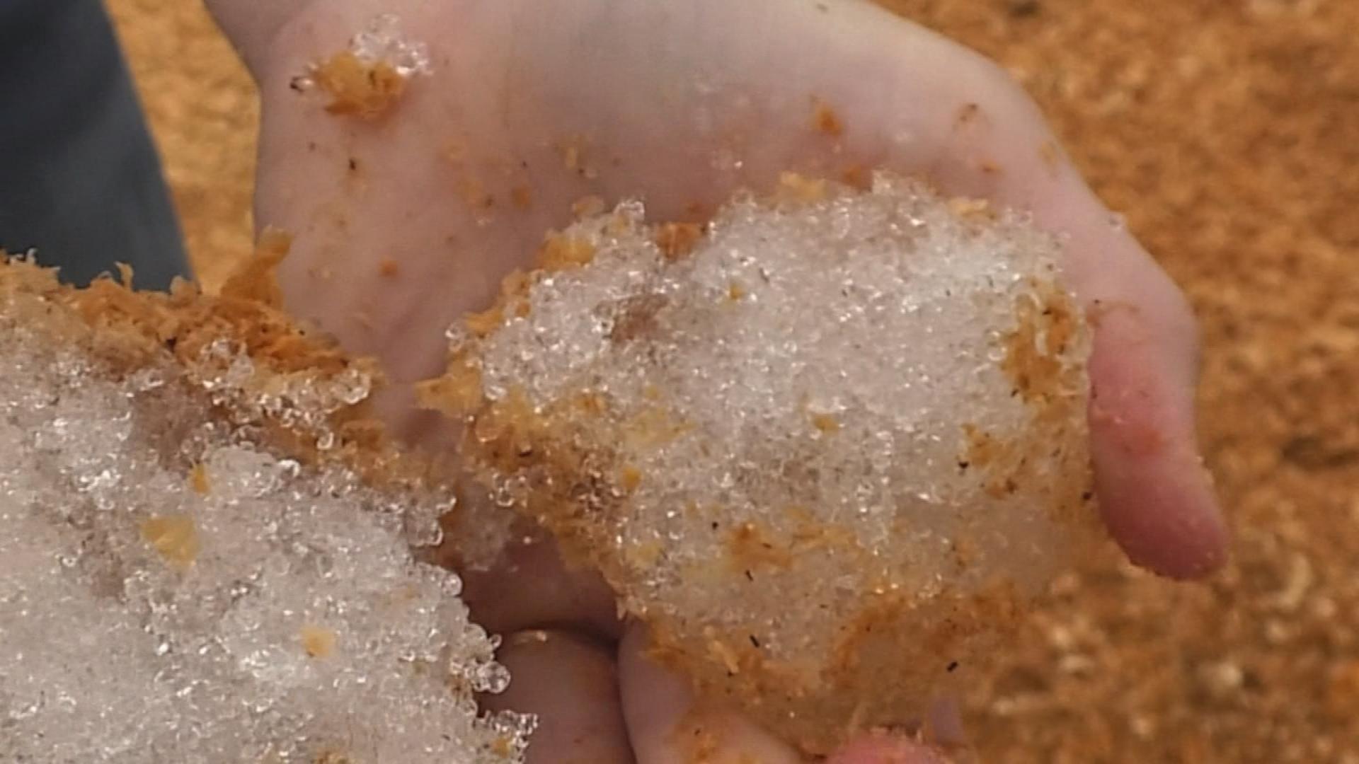 Sawdust Snow in the Summer Creates Fun Family Moments for Local Sawmill ...
