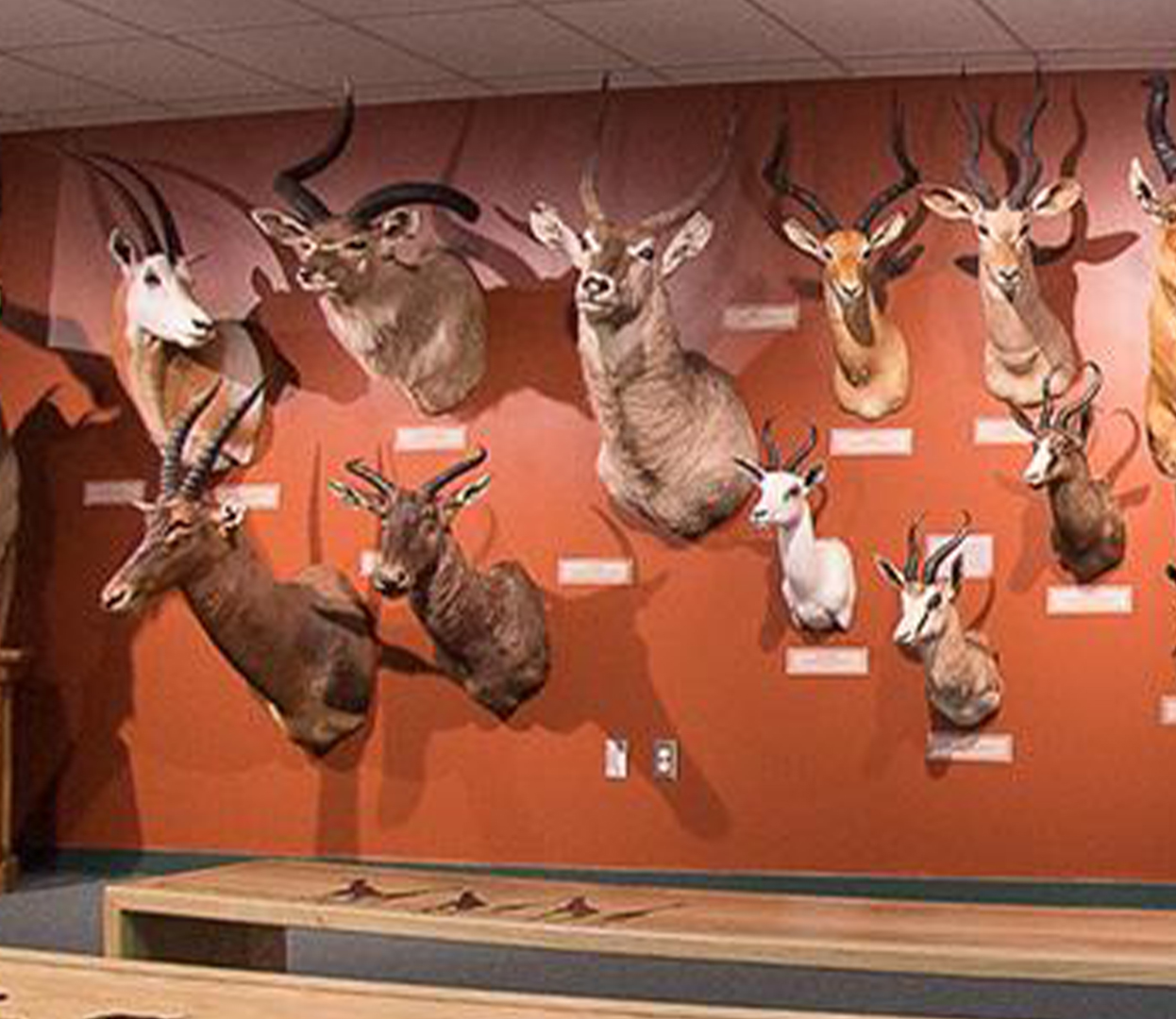 Card Riley Conservation and Wildlife Education Center: The Planet’s ...