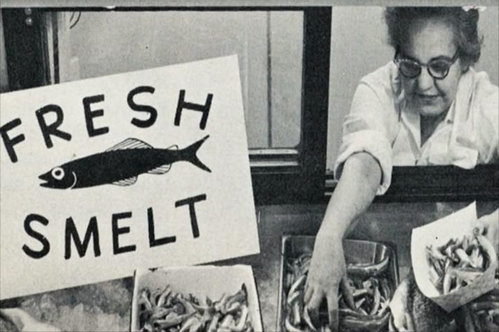 Northern Michigan in Focus: Cold Creek Smelt Dip – 910News.com