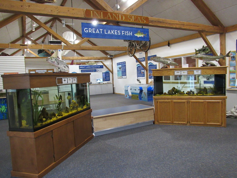 Suttons Bay’s Inland Seas earns Certified Autism Center designation – 9 ...