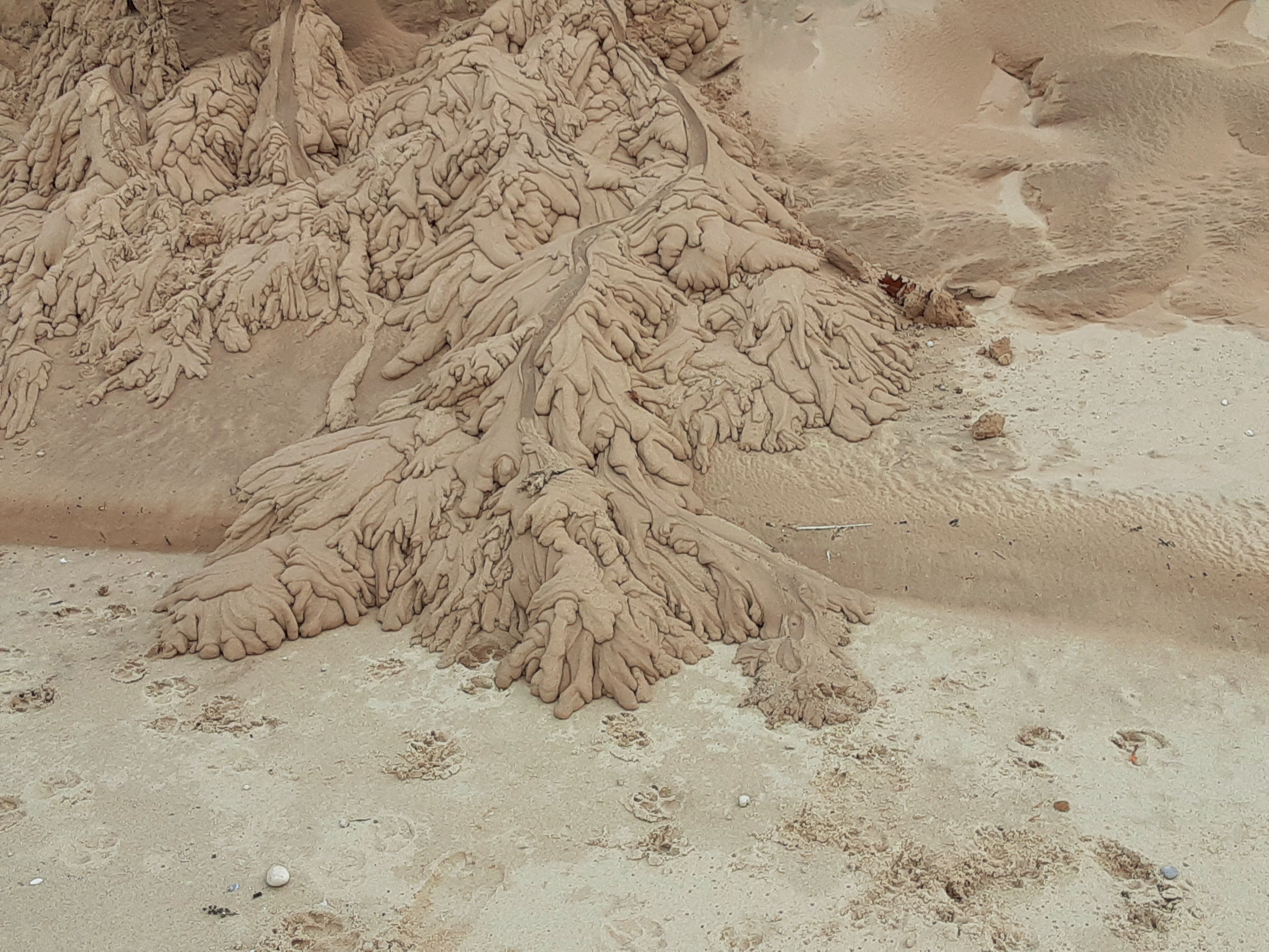 9-year-old rescued from sand collapse at Silver Lake Dunes recovering ...