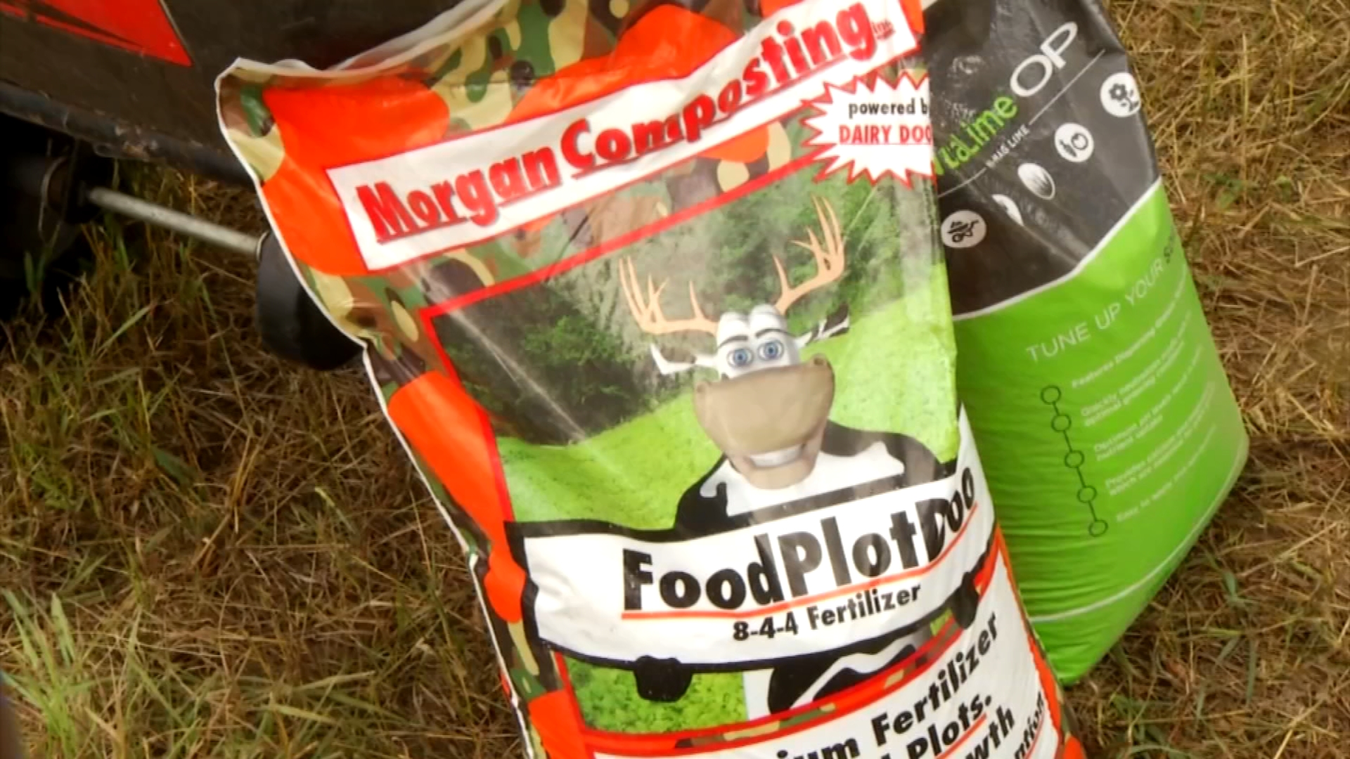 What’s Growing With Tom: Food Plot Part 1 – 9&10 News
