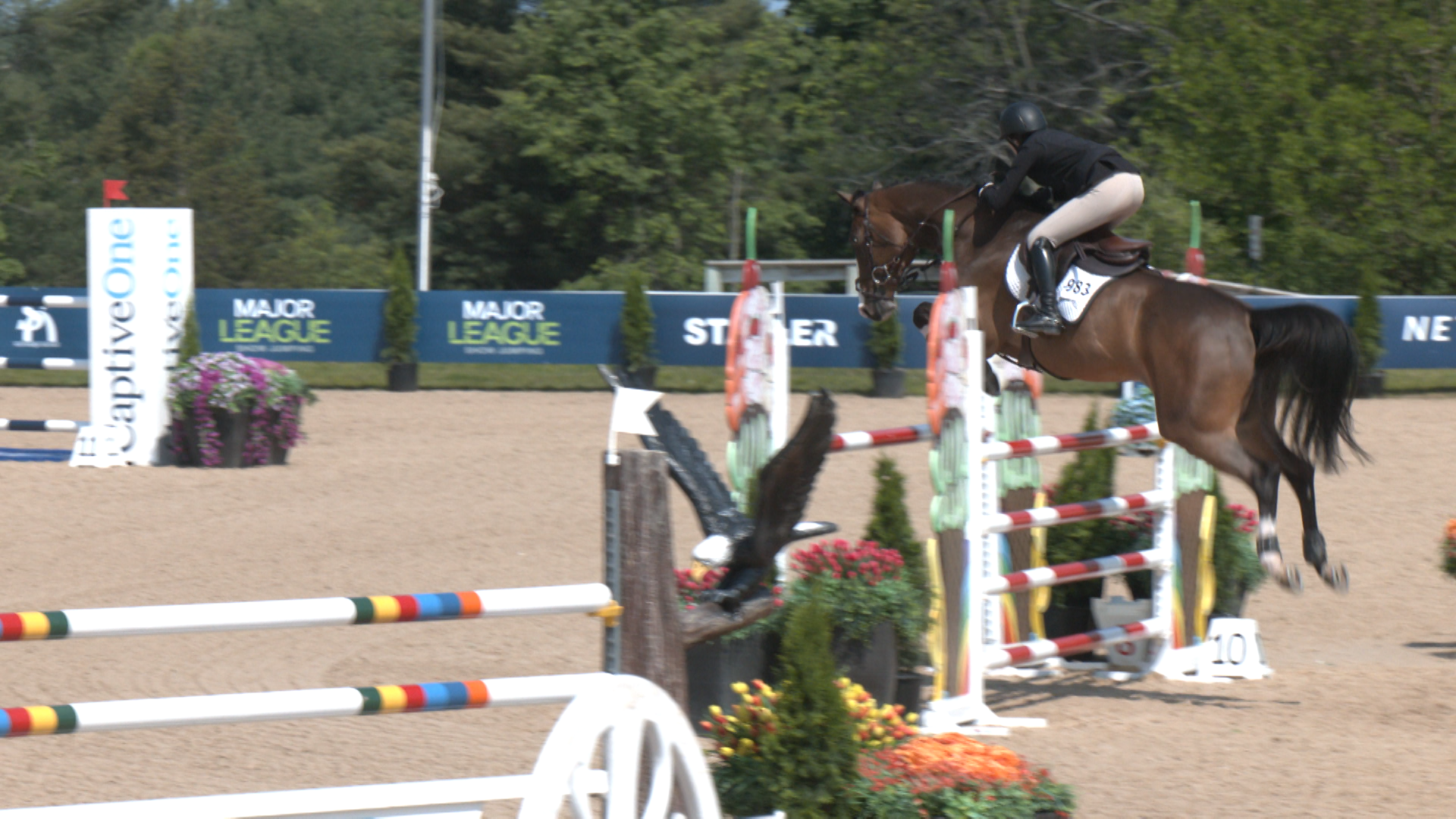 Traverse City Horse Shows achieves record-breaking attendance in 2025 ...