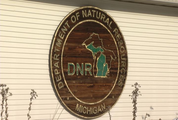 Michigan DNR Releases Interactive Map To Help Morel Mushroom Hunters ...