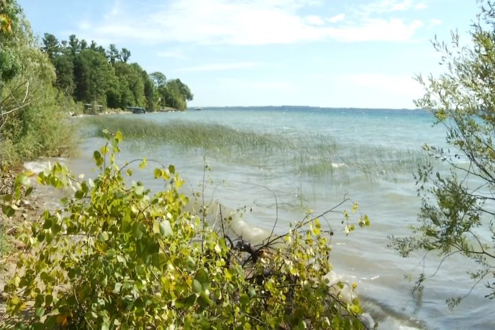 Sights and Sounds: Archie Park – 9&10 News