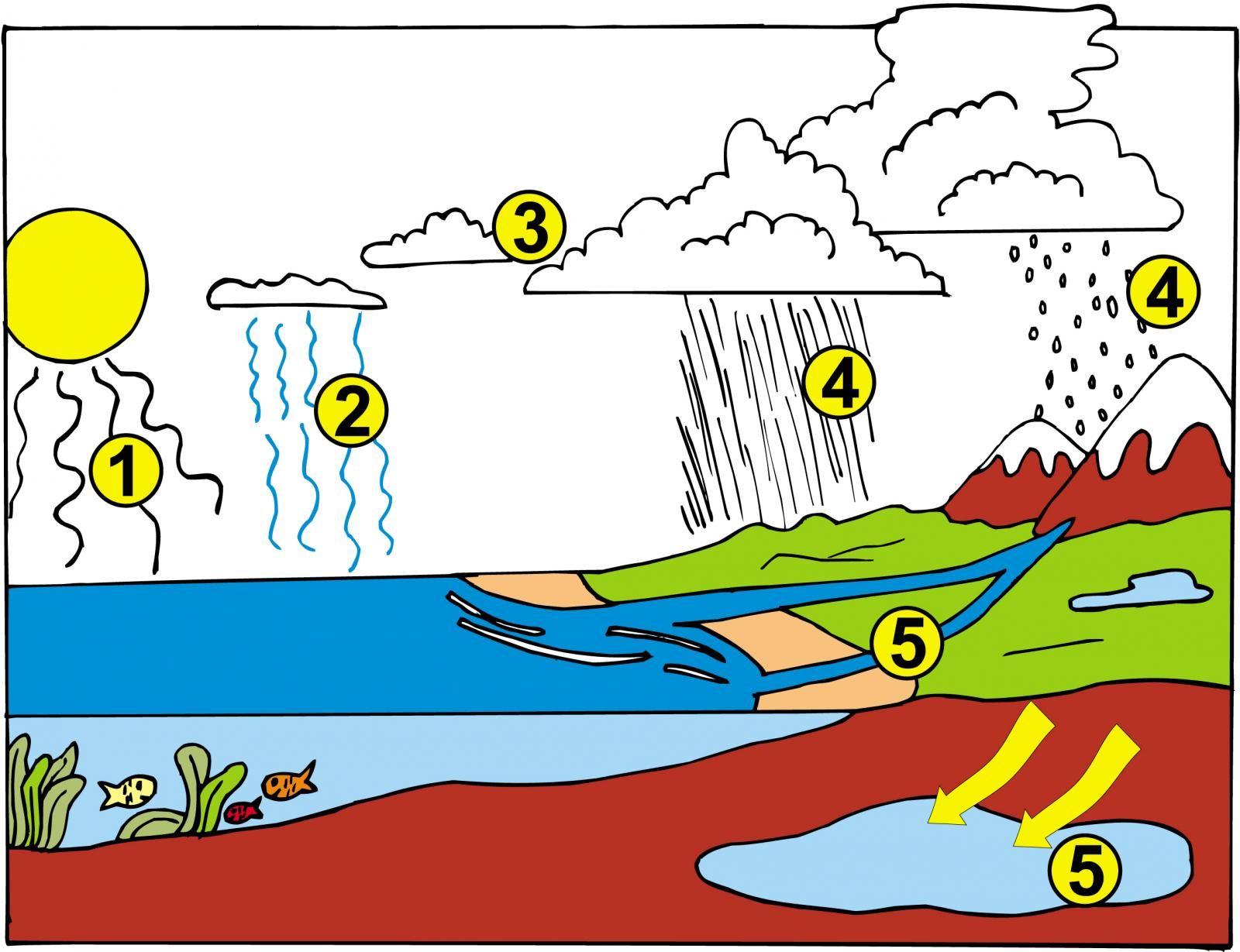 El Ciclo Del Agua