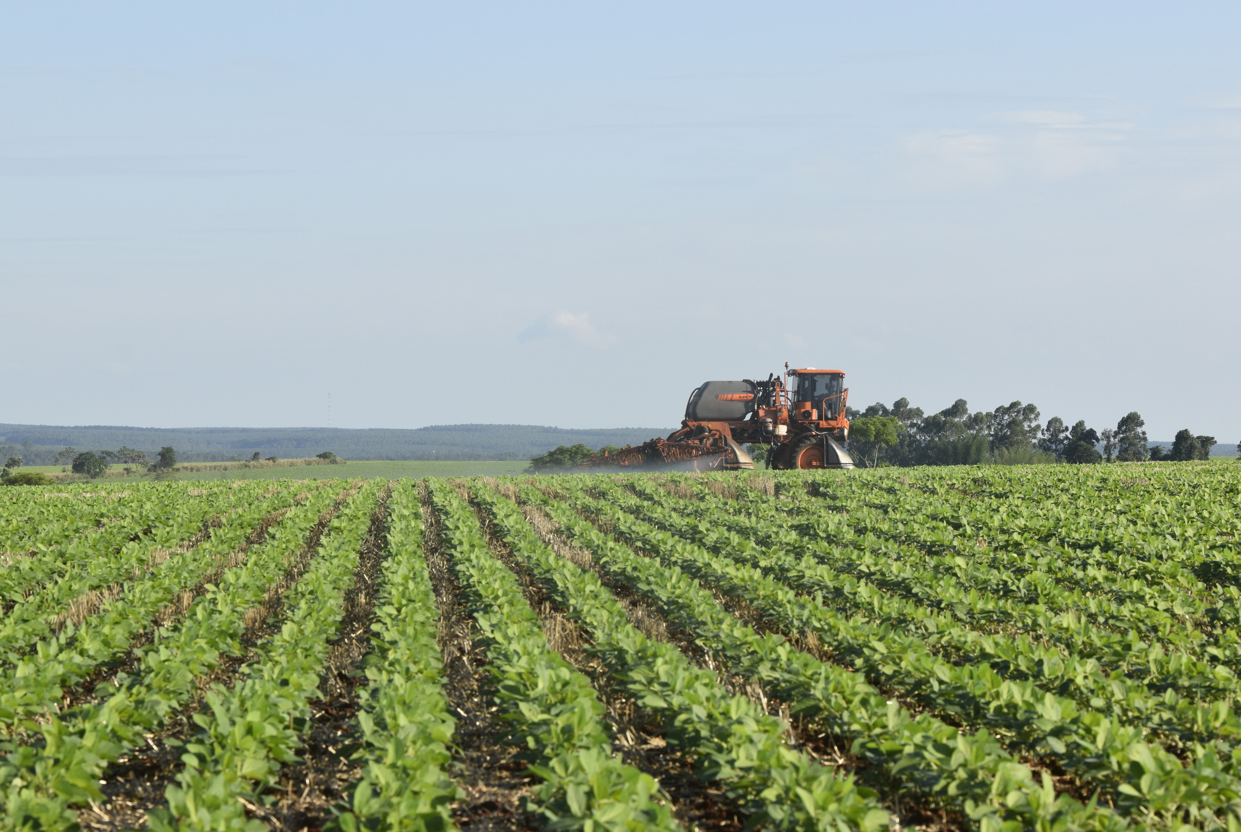 25° aniversario de Aseguradora Tajy | ABC Color PY