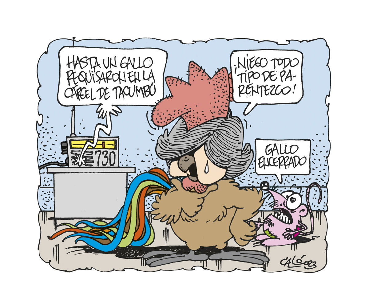 HUMOR - Humor - ABC Color