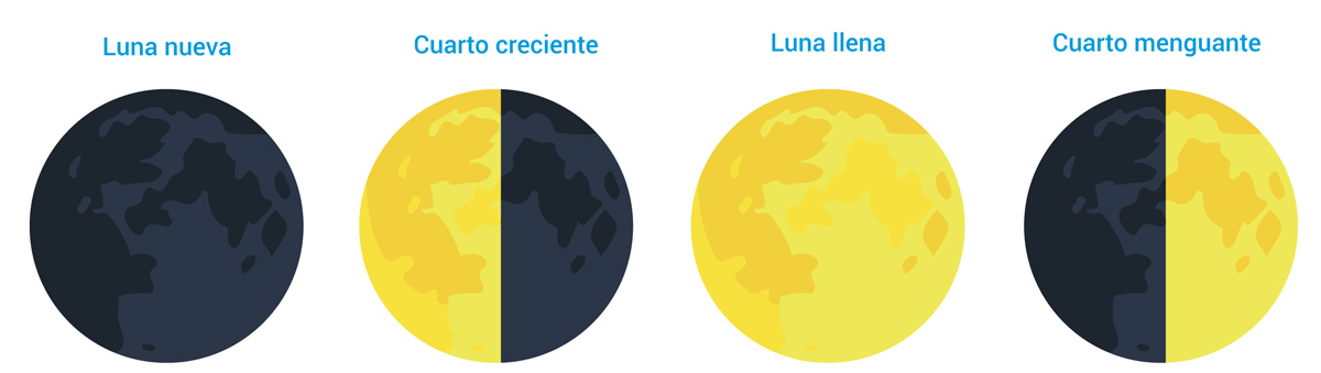 Las Fases De La Luna Para Ninos Guia De Trabajo Fases De La Luna 1 1