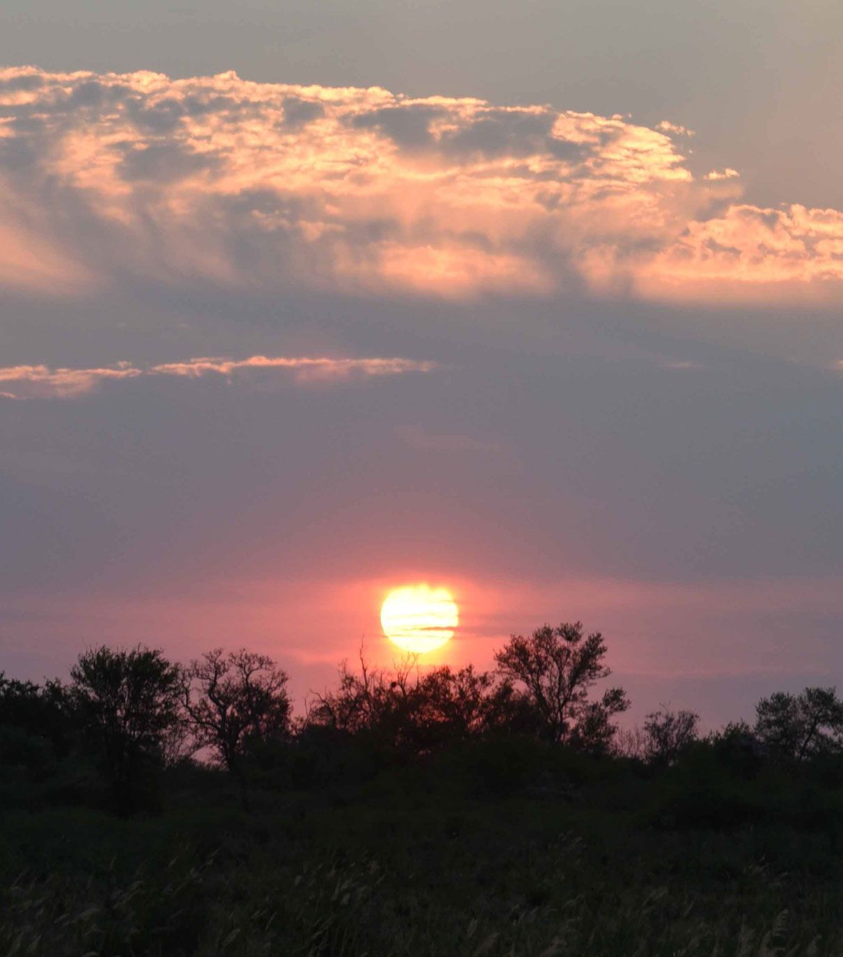 Meteorología: se mantienen los amaneceres fríos y la ausencia de ...