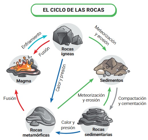 Hoja De Trabajo Sobre El Diagrama Del Ciclo De Las Rocas