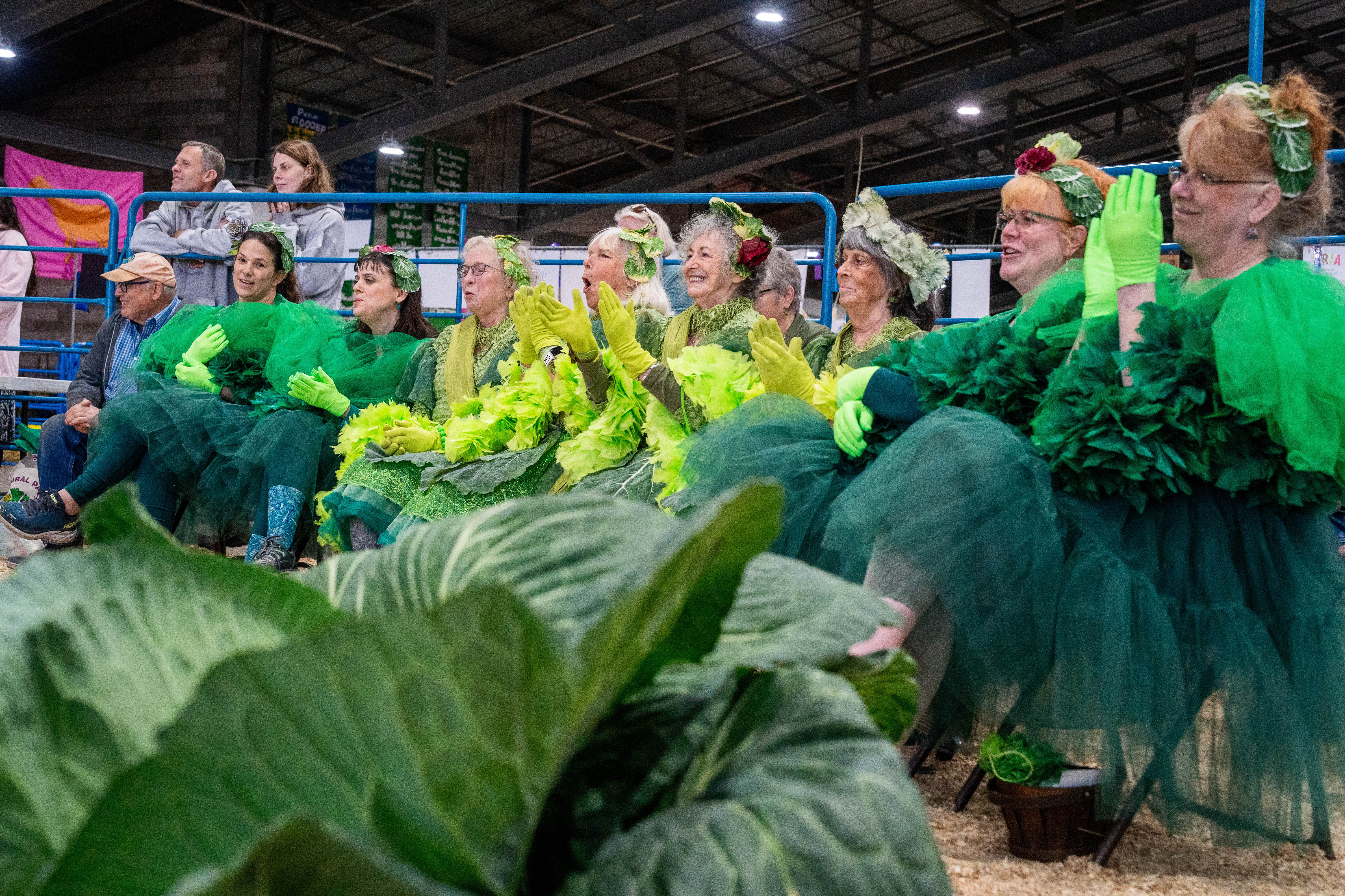 Tenyearold Wins Alaskas Giant Cabbage Contest Eideard