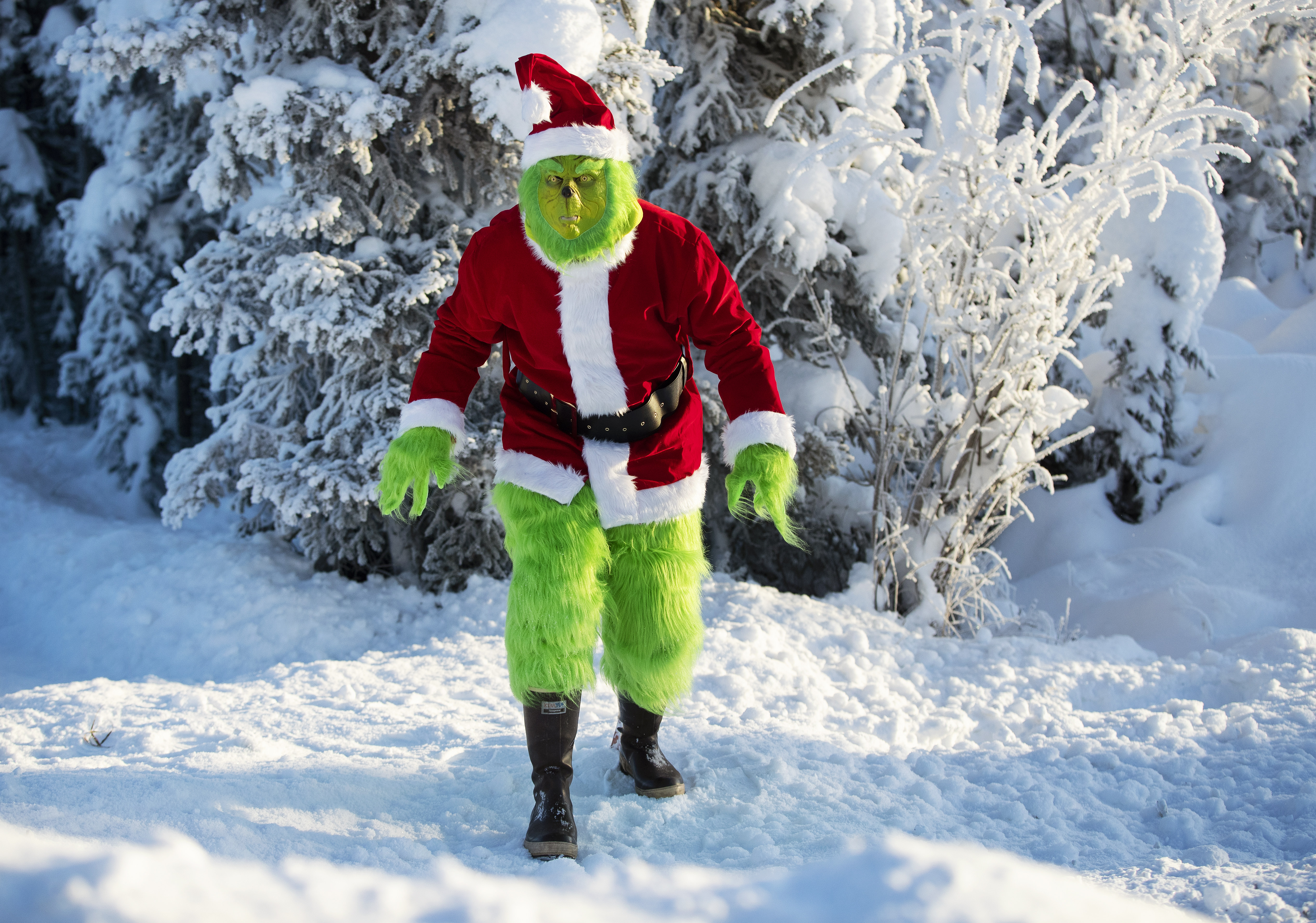 Grinch Sitatene DR. SEUSS'S HOW THE GRINCH STOLE CHRISTMAS (2023