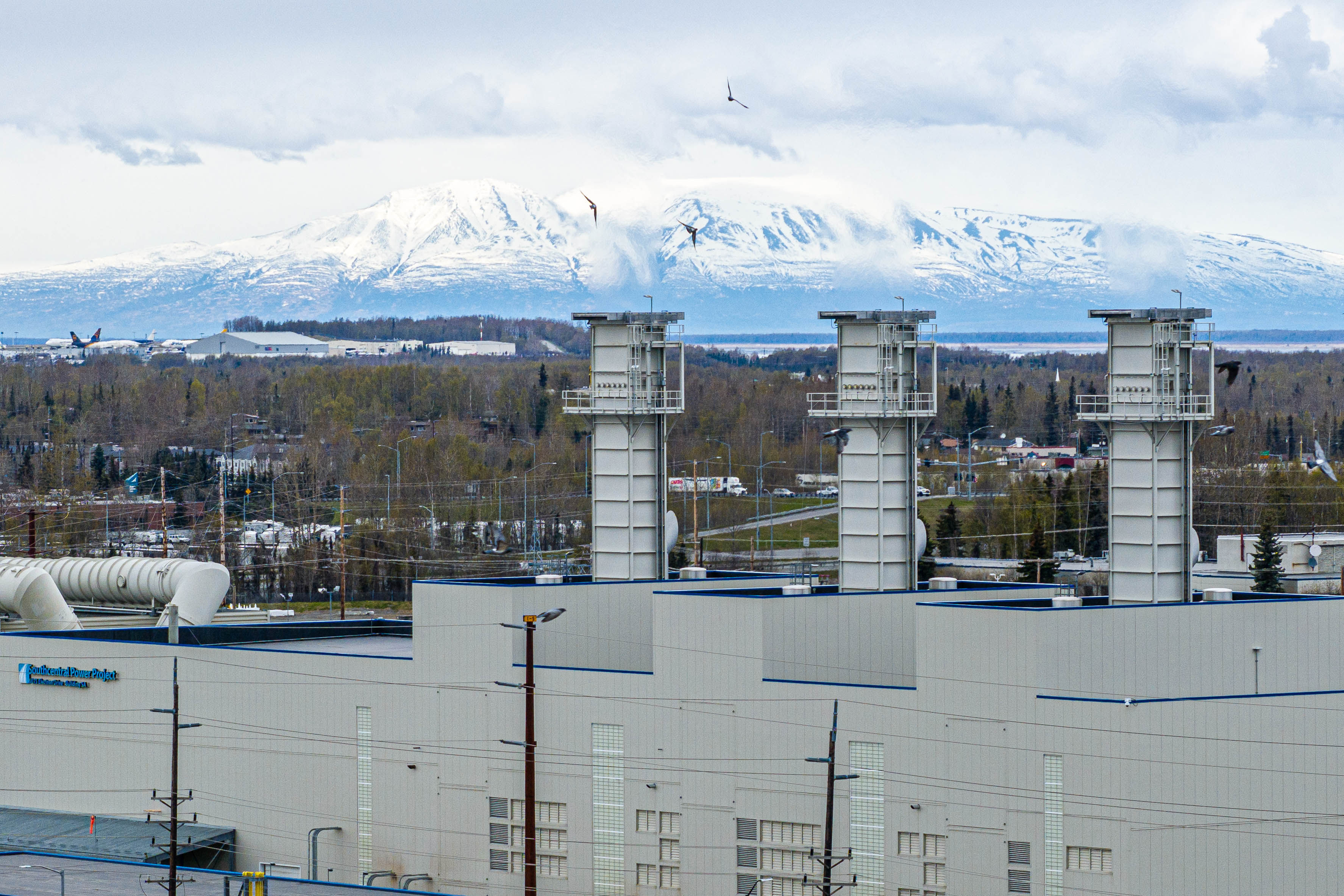 Chugach Electric Login