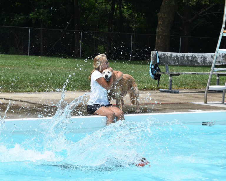 Allentown's Mack Pool goes to the dogs - lehighvalleylive.com