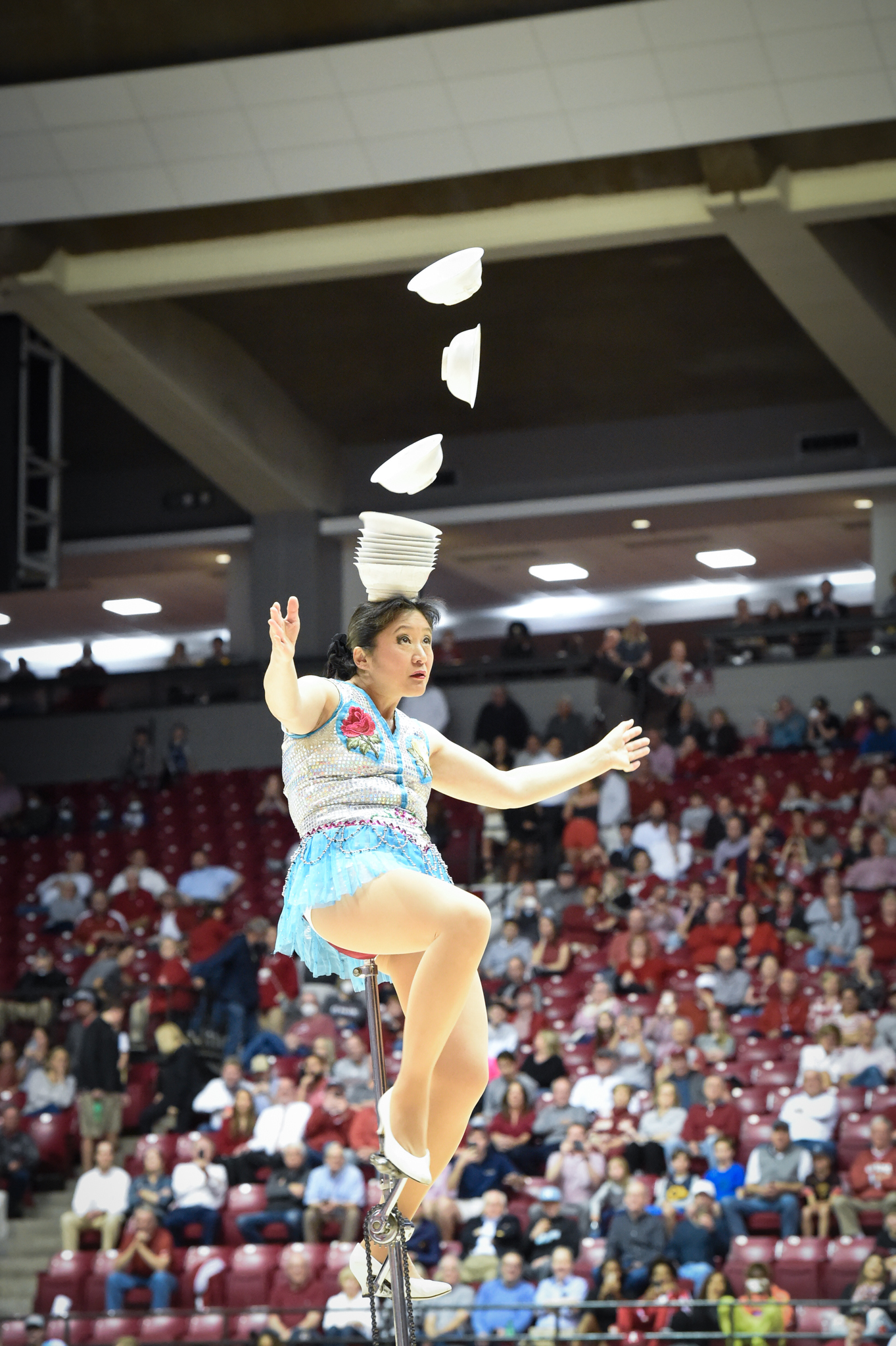 Red Panda Alabama Halftime 2022 - al.com