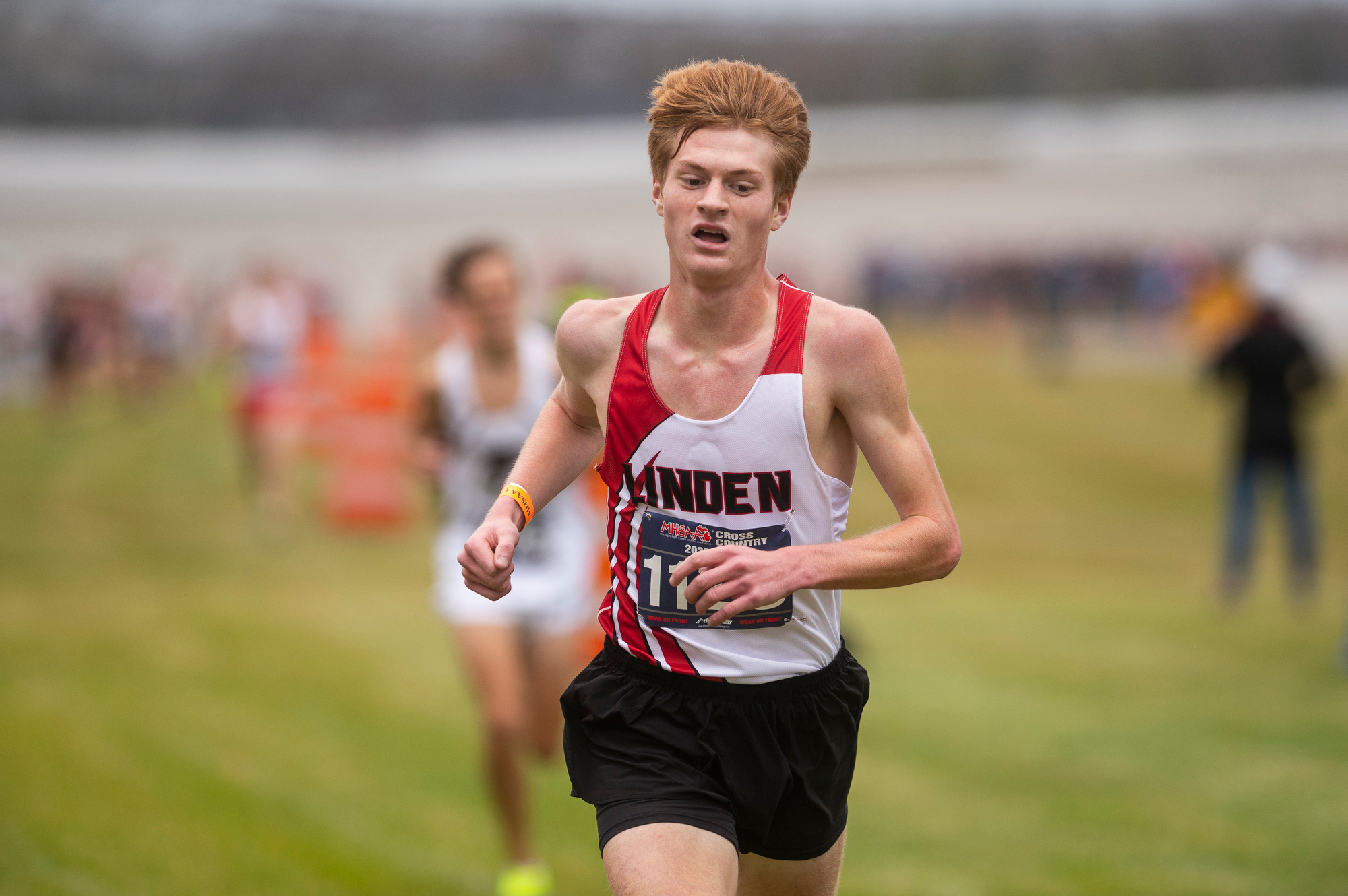 Division 2 boys Michigan state cross country championships 2022 - mlive.com