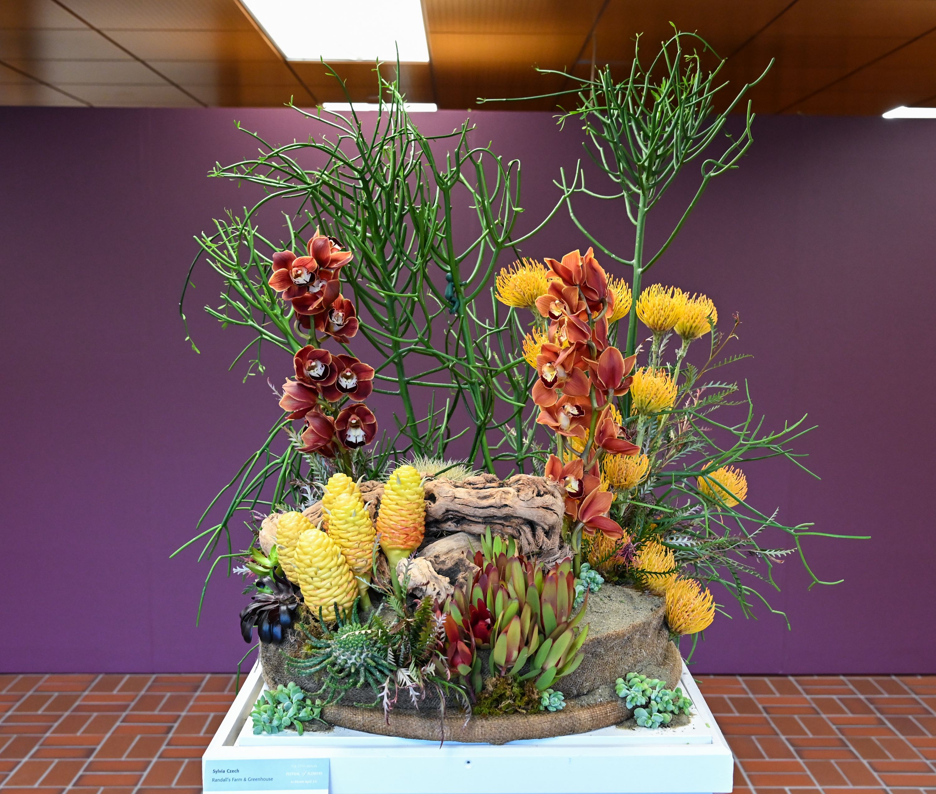 Blooms and cocktails draw crowds to Springfield Museums’ Festival of Flowers - masslive.com