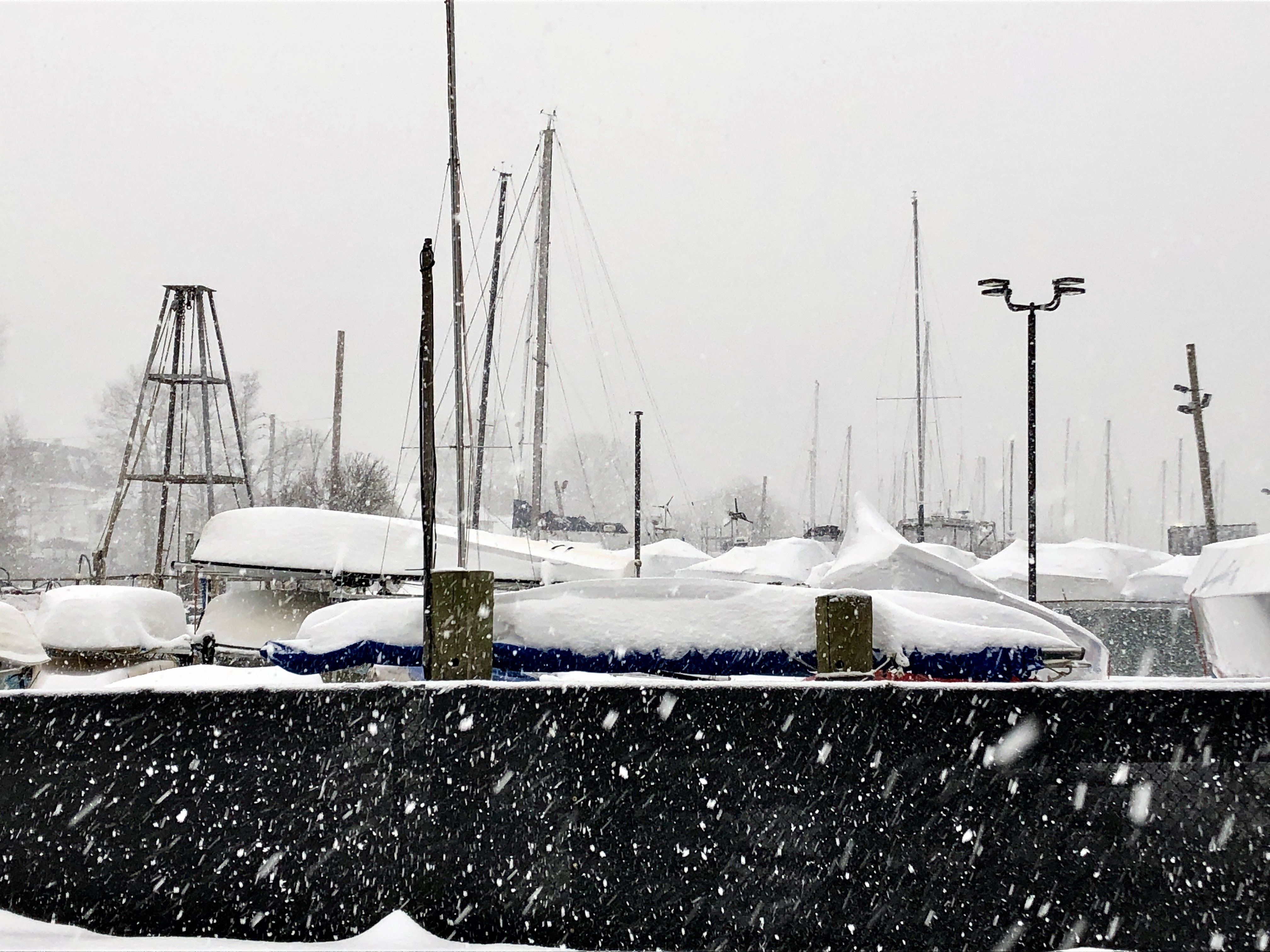 PHOTOS: Nor'easter slams Staten Island with blowing and drifting snow ...