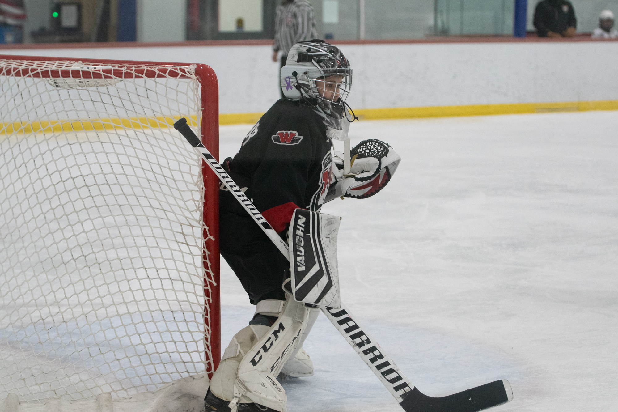 1-16-22 Westfield Youth Hockey Fire & Ice Tournament - Pee Wee Group B ...