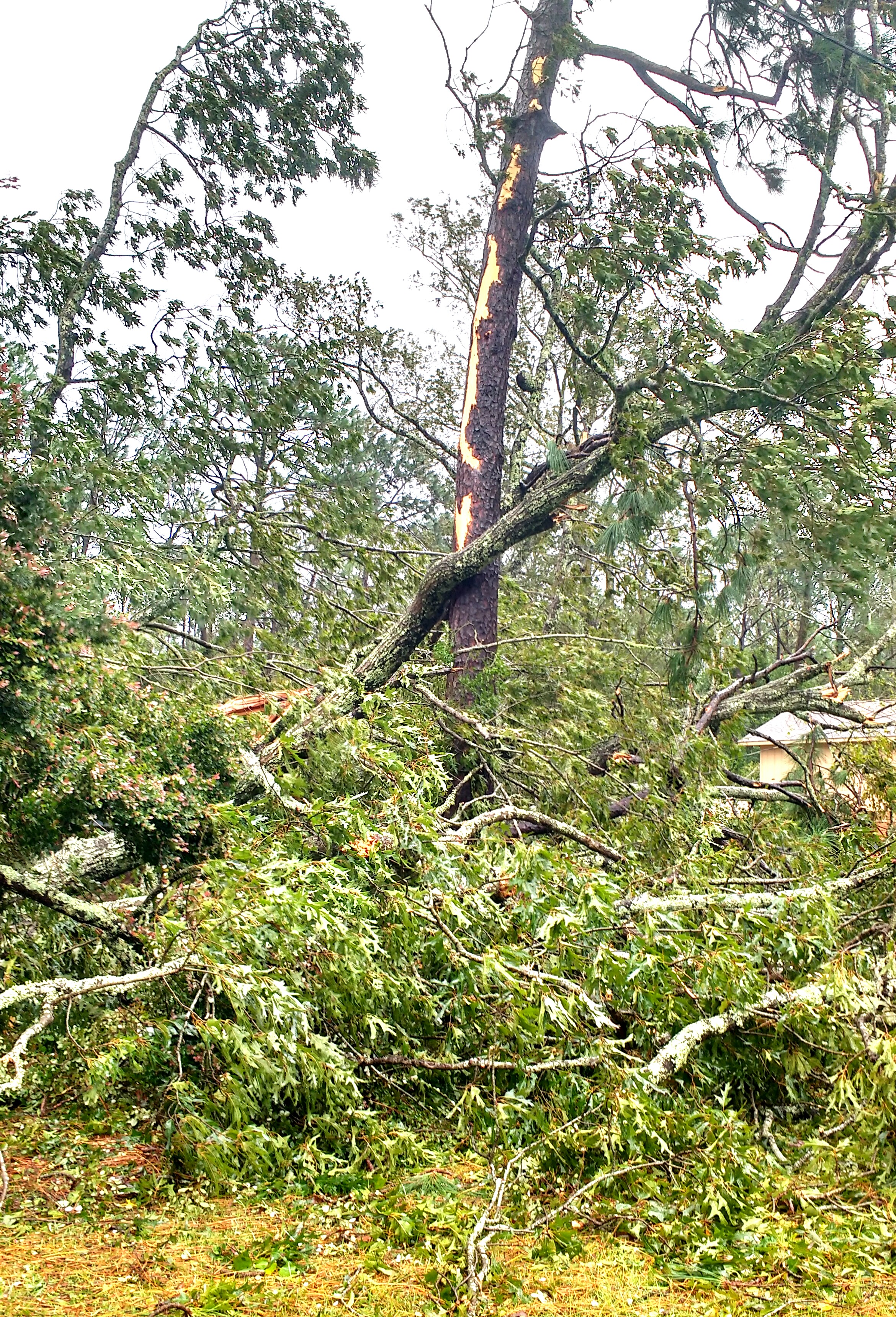 Hurricane Sally damage in coastal Alabama - al.com