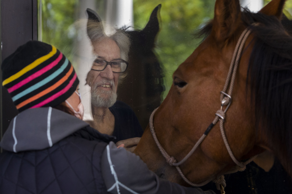 Horses and service dogs visit residents of The Middletown Home ...