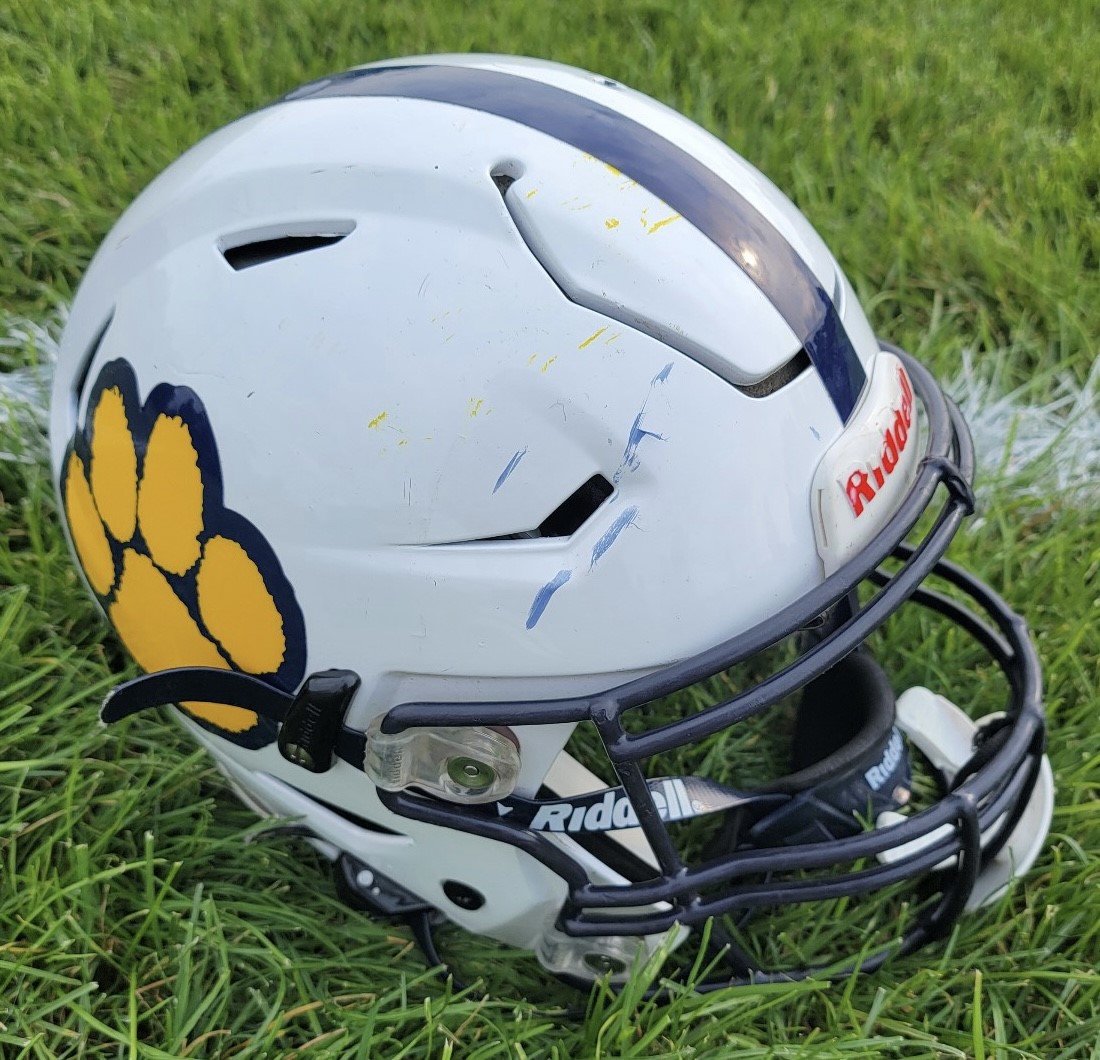 Who has the best-looking helmet in the Flint area? - mlive.com