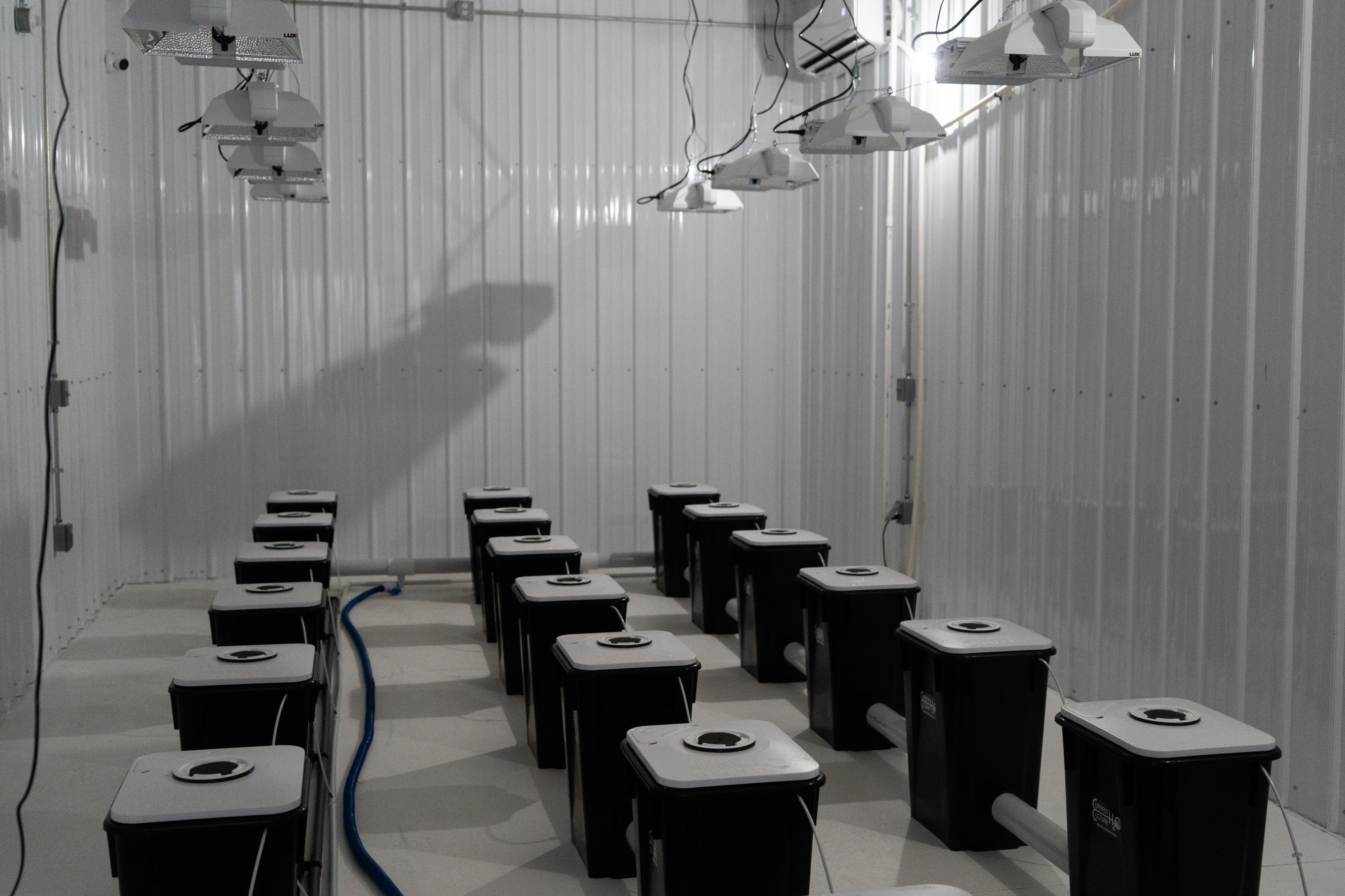 Only Alien Cannabis Co. is a first-of-its-kind in Southwest Michigan ...