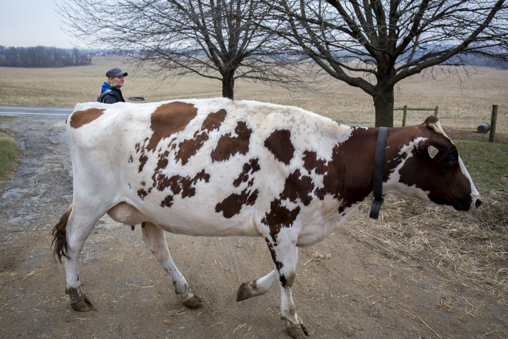 Farm Show means 'family' to York County's Shultz family - pennlive.com