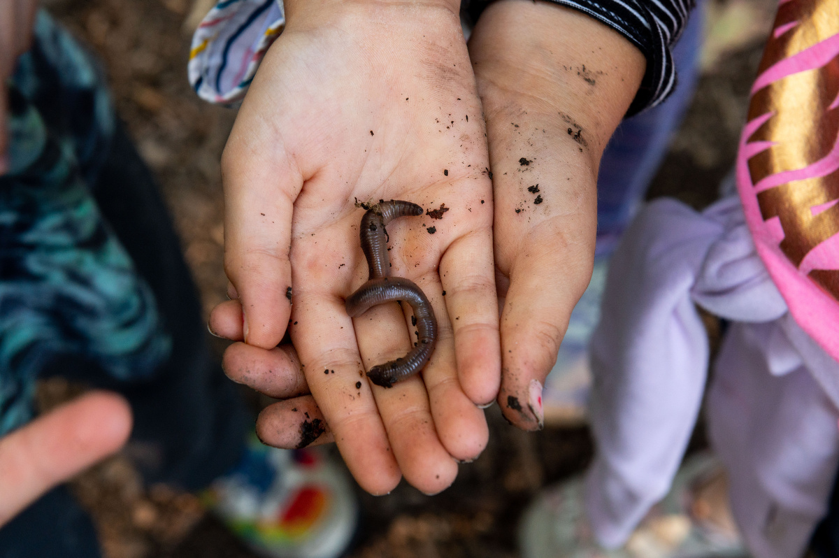 Ann Arbor Schools provide after care via Rec and Ed courses - mlive.com