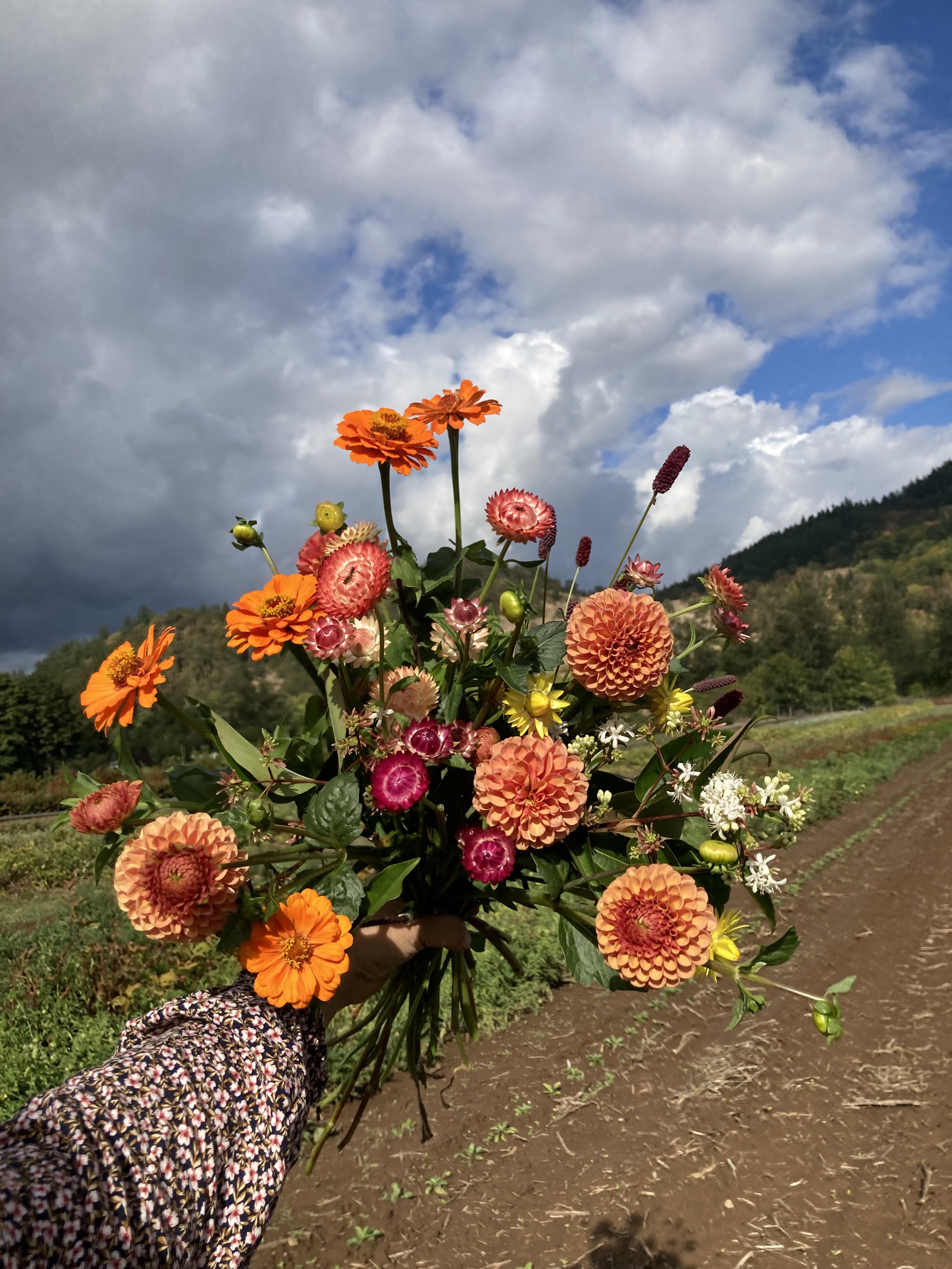 Charles Little & Co. in Eugene - oregonlive.com