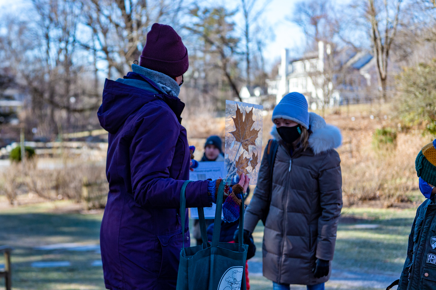 Hyperlocal Maple Sugaring - nj.com