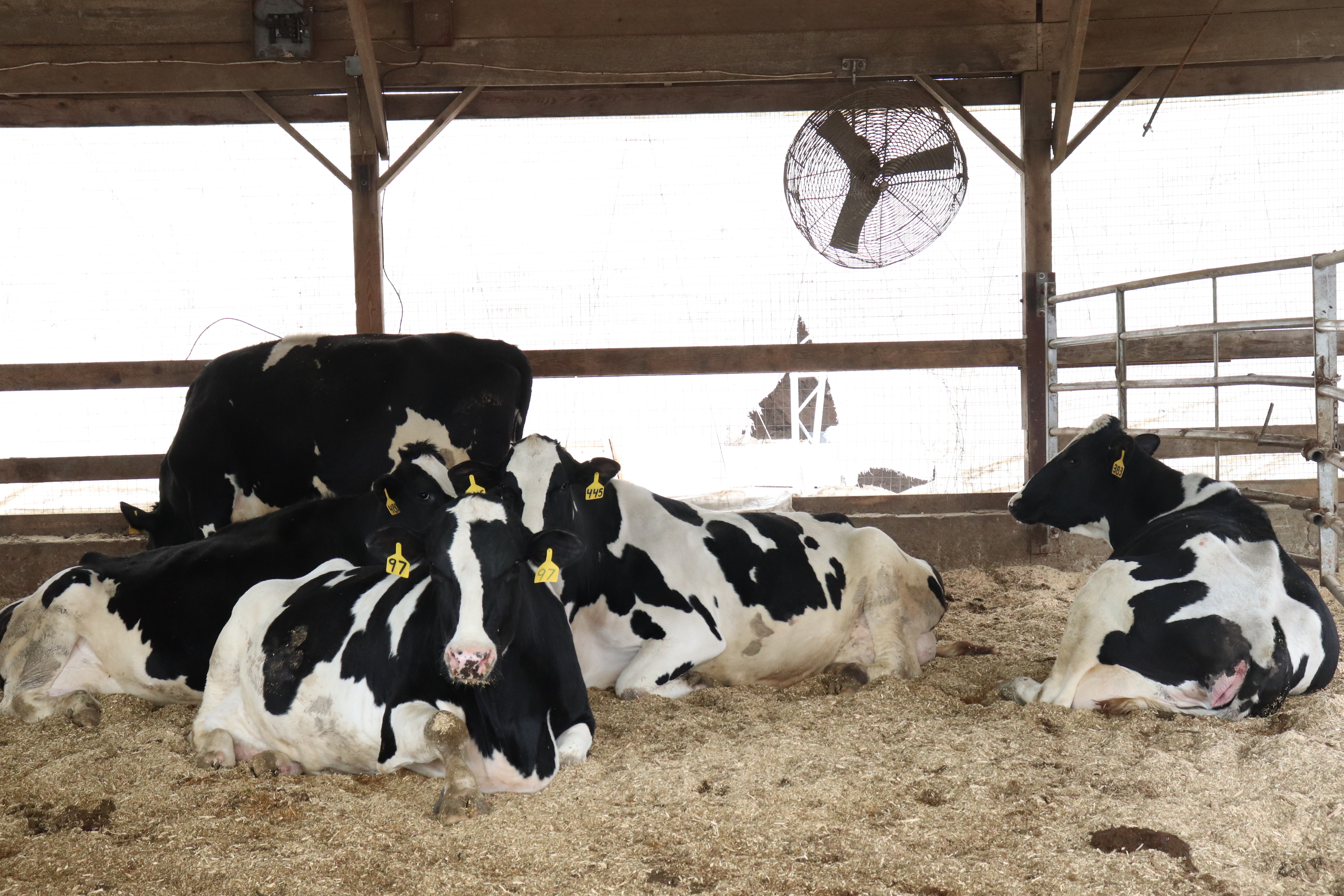 Smith's Country Cheese in Winchendon - masslive.com