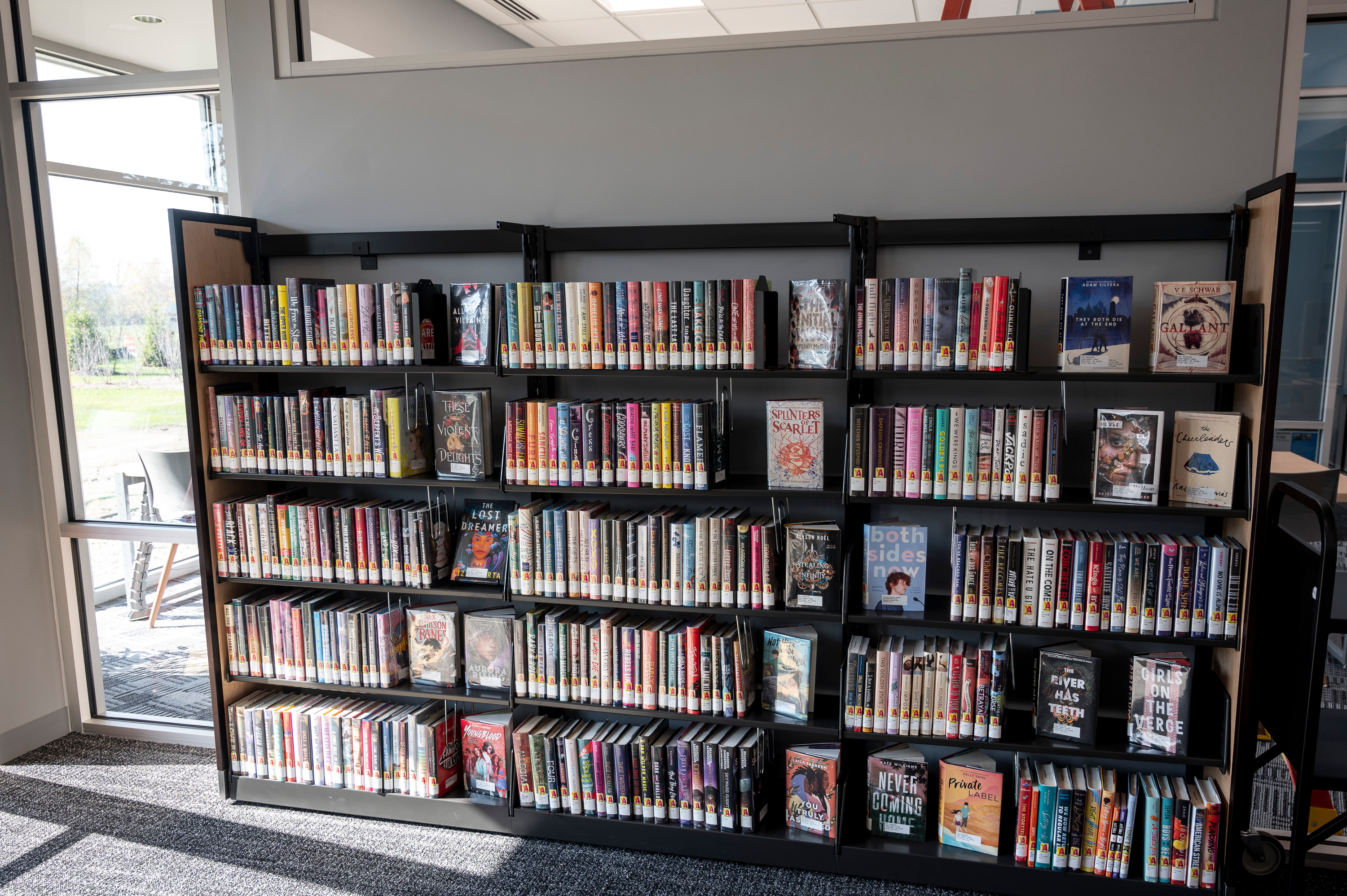 Ypsilanti District Library to open new Superior Township branch - mlive.com