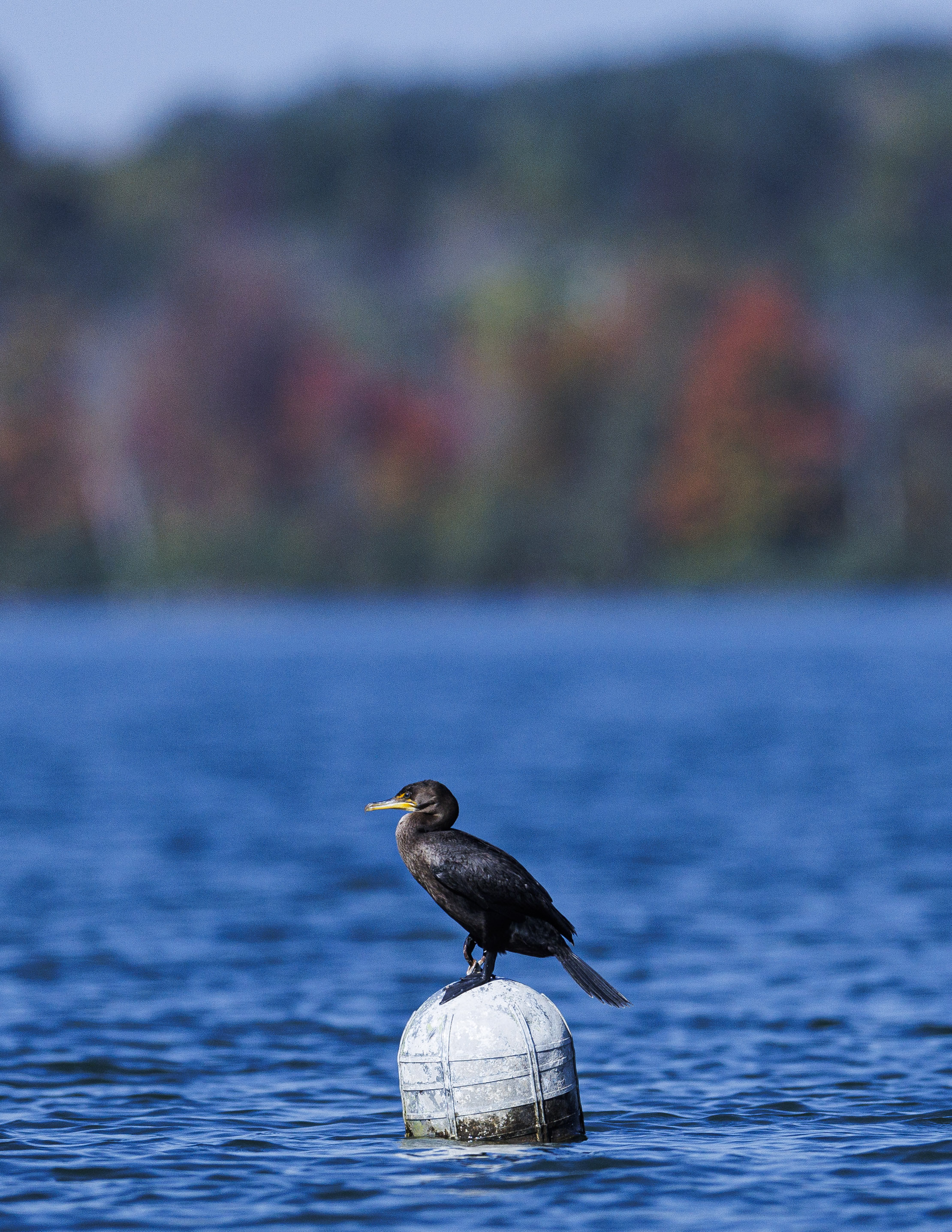 Stretch of October warm weather in Central NY - syracuse.com