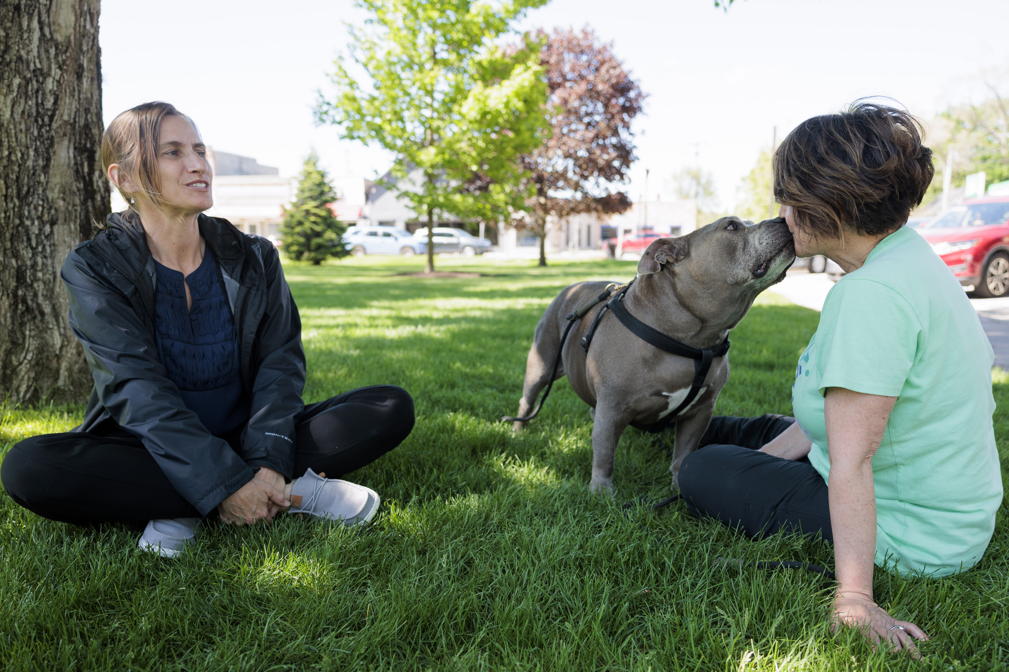Lap of Love Veterinary Hospice offers end-of-life care for Ann Arbor ...