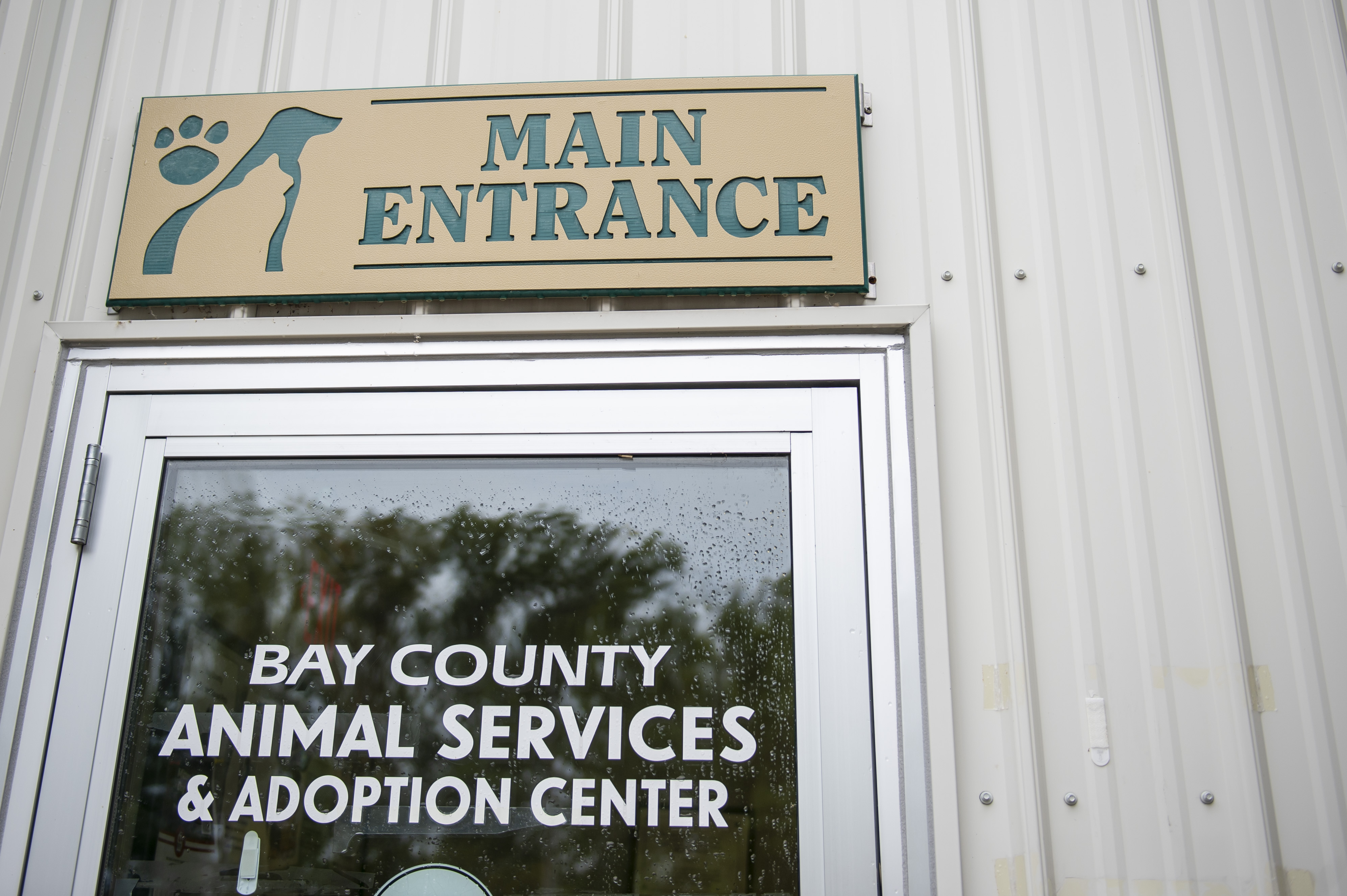 Bay County Animal Services and Adoption Center sees increase in ...