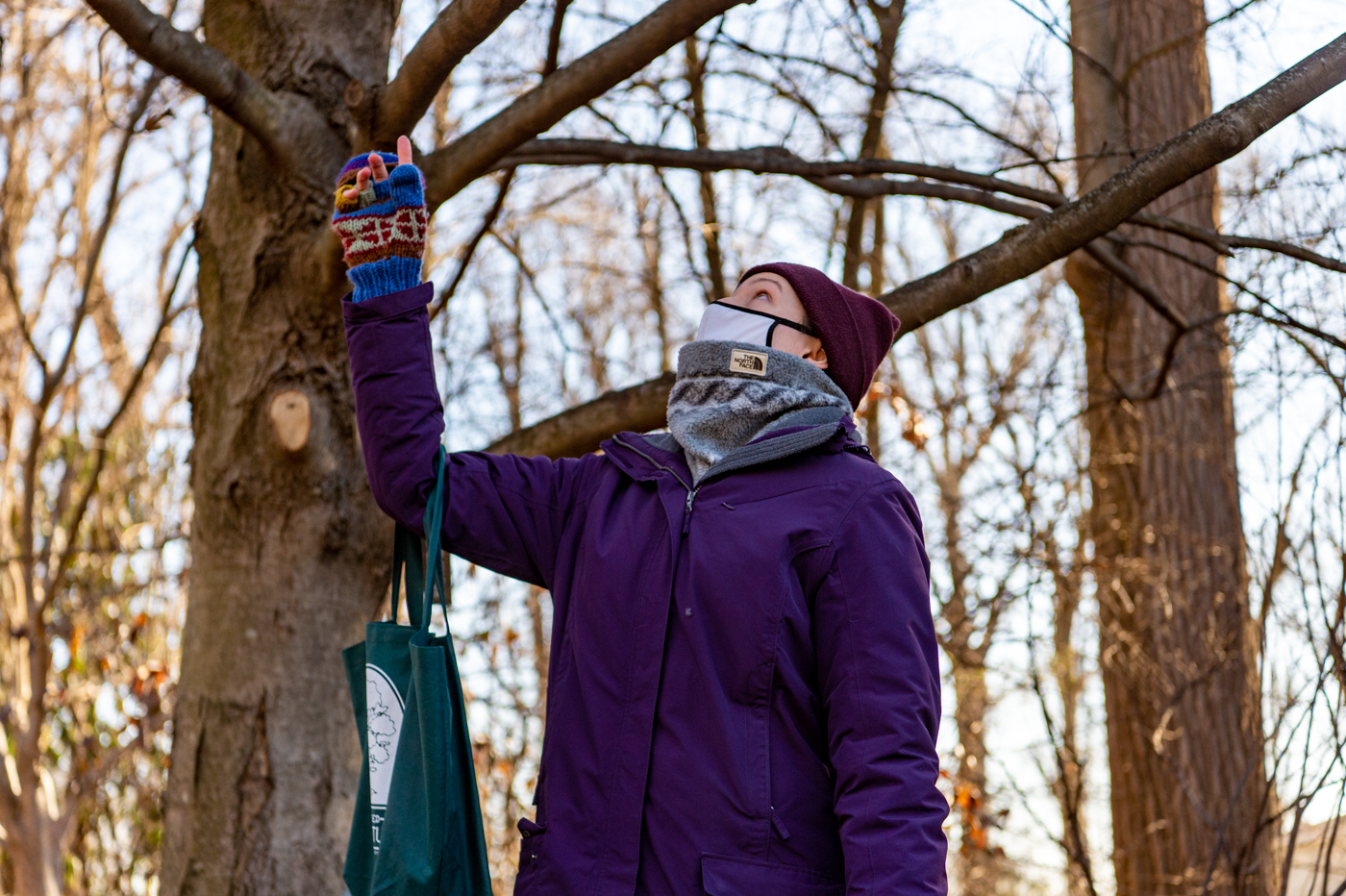 Hyperlocal Maple Sugaring - nj.com