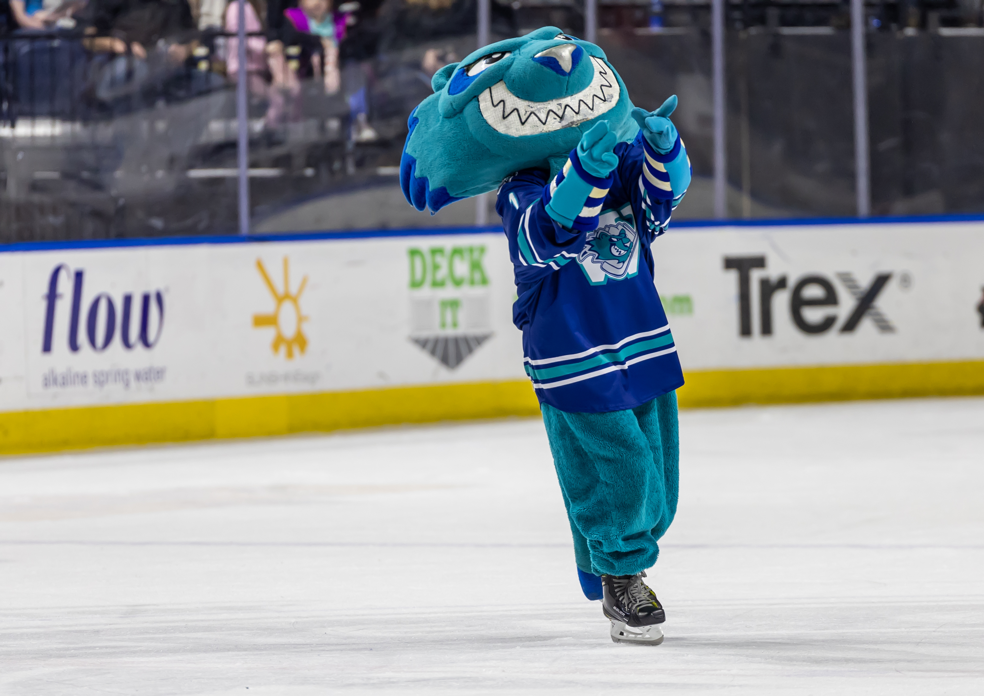 Worcester IceCats Night at the DCU Center - masslive.com
