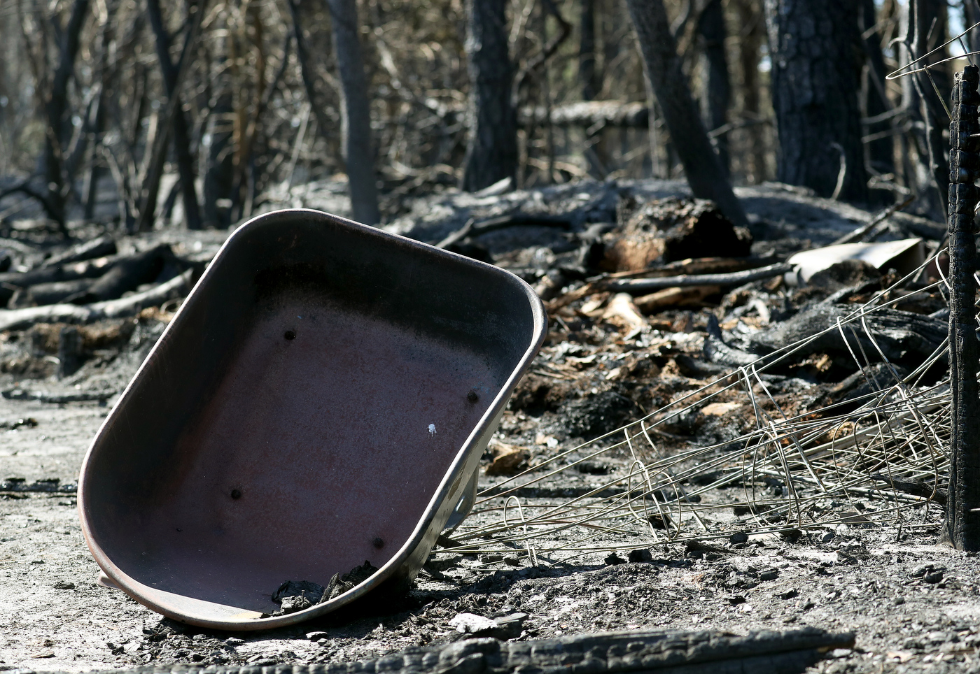 Damage from large brush fire in Brick and Lakewood, March 15, 2021 - nj.com
