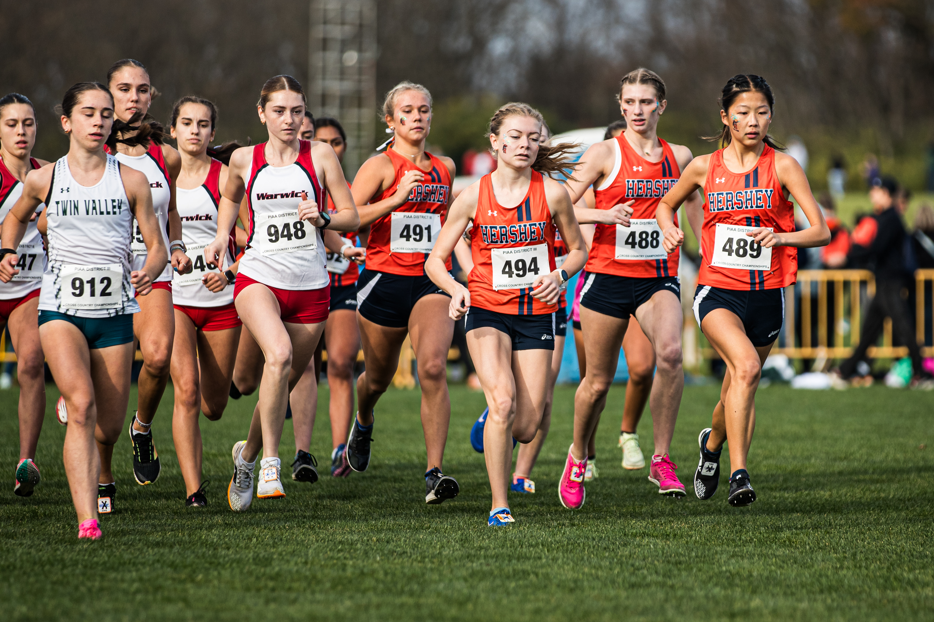 PIAA district 3 cross country championship - pennlive.com